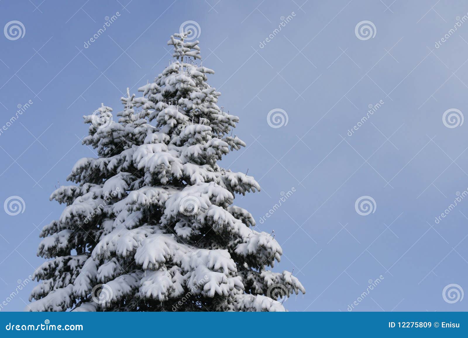 Snow end tree stock image. Image of wallpaper, forest - 12275809