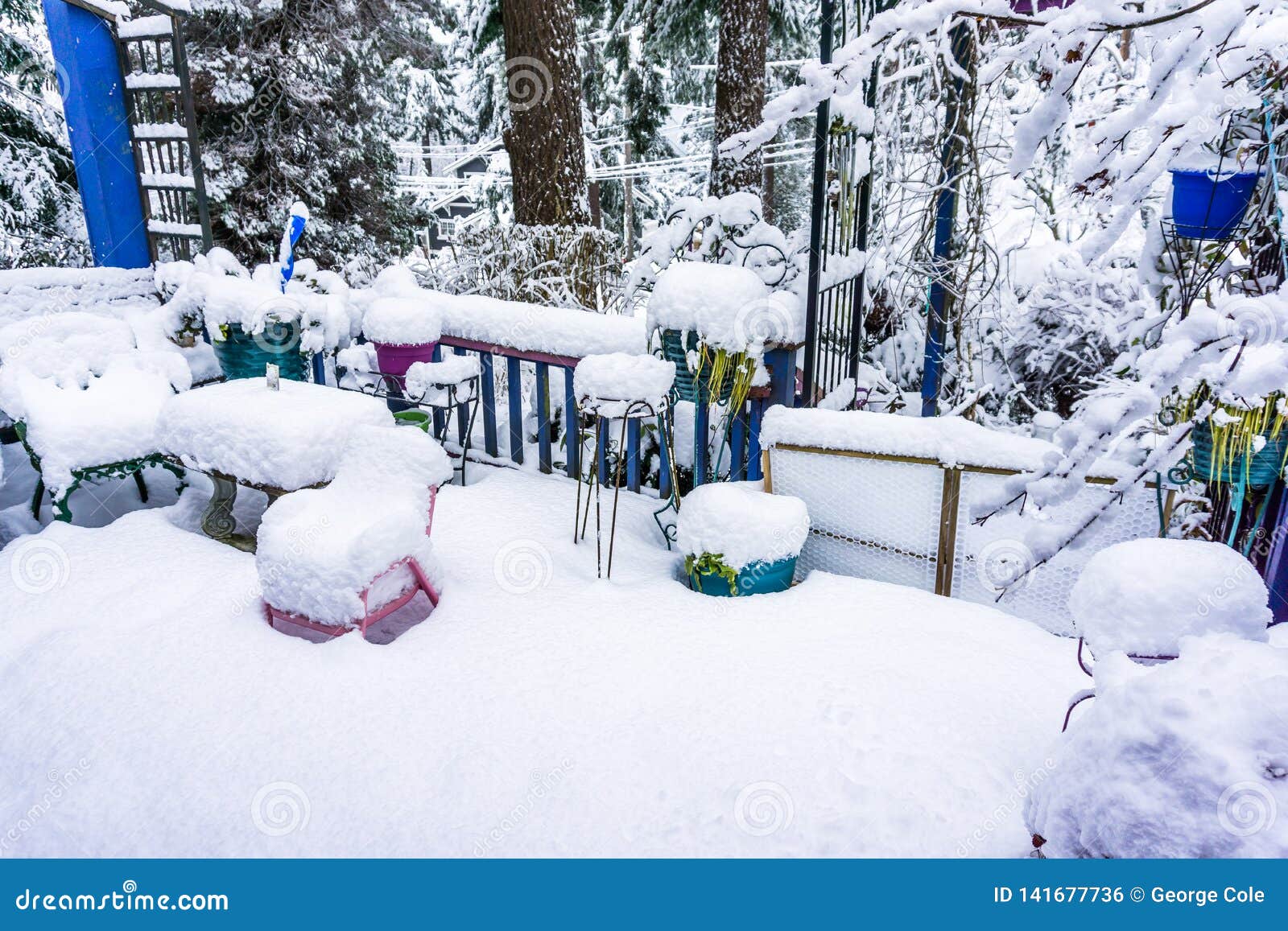 Snow Snow Everywhere 5 stock photo. Image of snow, thick - 141677736