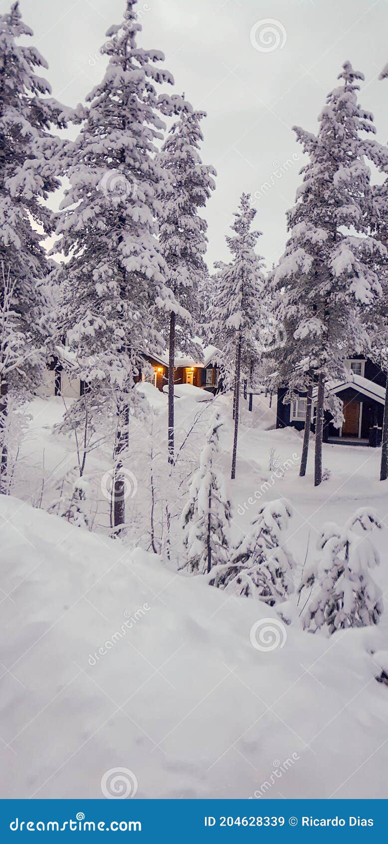 Snow Everywhere in the Northpole! Stock Image - Image of blizzard, snow ...