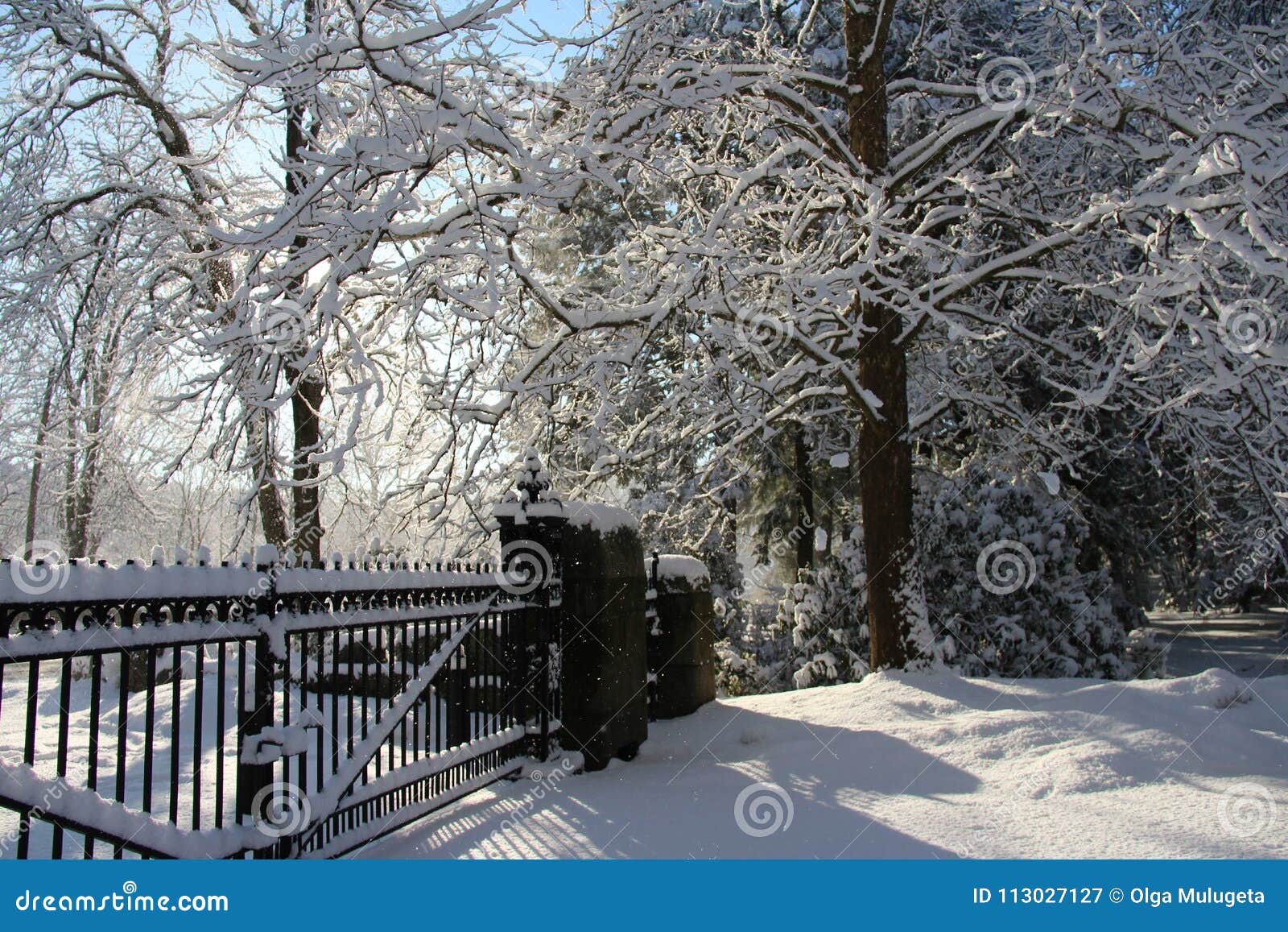 Snow everywhere stock image. Image of snow, white, morning - 113027127
