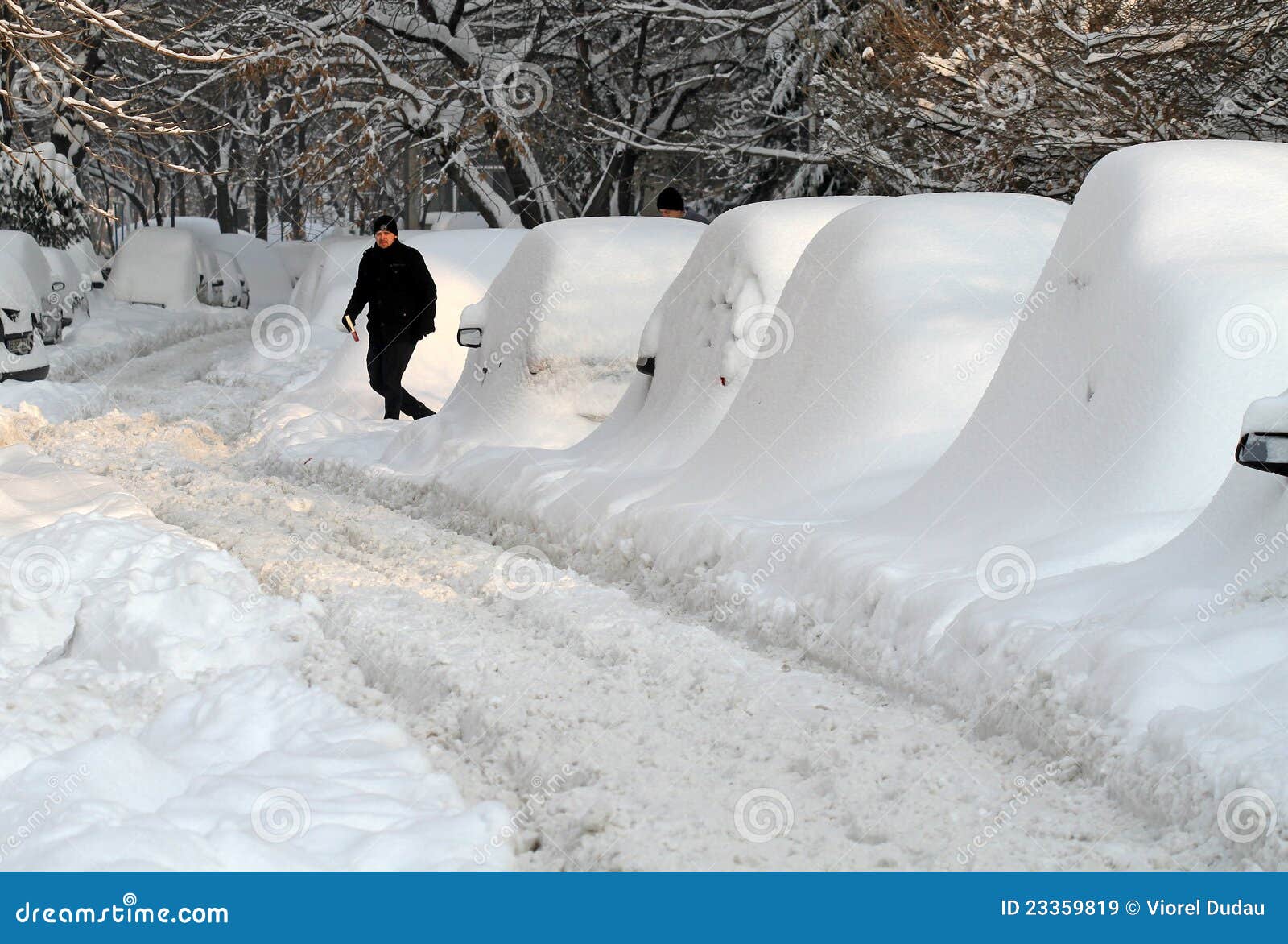 Snow - Extreme Winter in Romania Editorial Stock Image - Image of ...