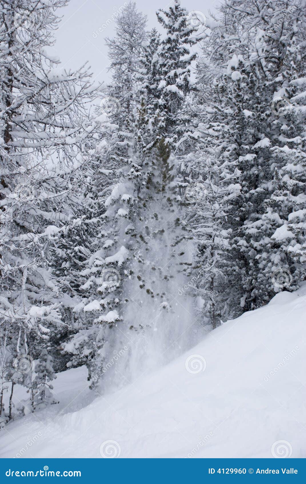 Snow fall 3 stock photo. Image of mountain, valley, valle - 4129960