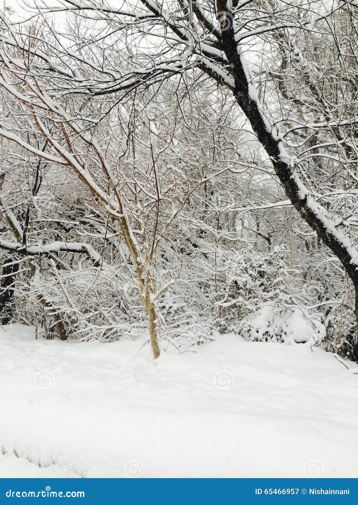 Snow Fall Beautiful Scenery Stock Image - Image of scenery, snowfall ...