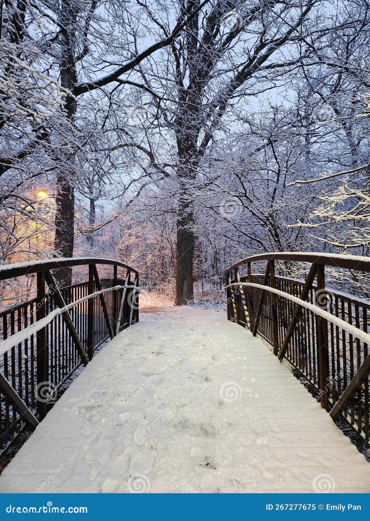 Snow Fall Bridge stock image. Image of snow, flower - 267277675