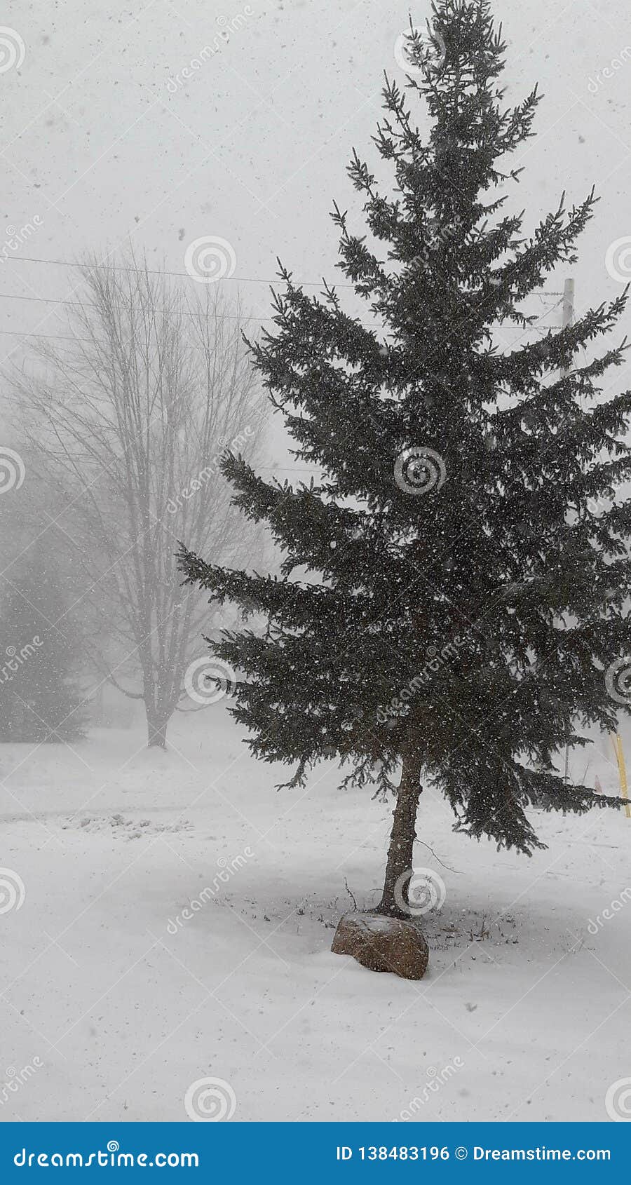 Snow fall stock photo. Image of snow, fall, snowfall - 138483196