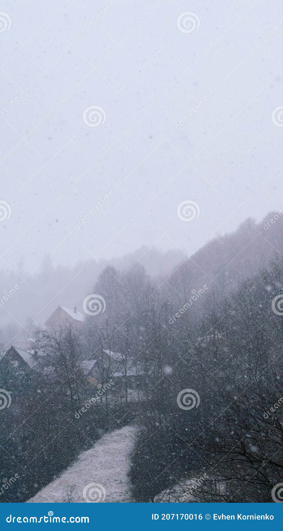 Snow fall in the forest stock photo. Image of light - 207170016