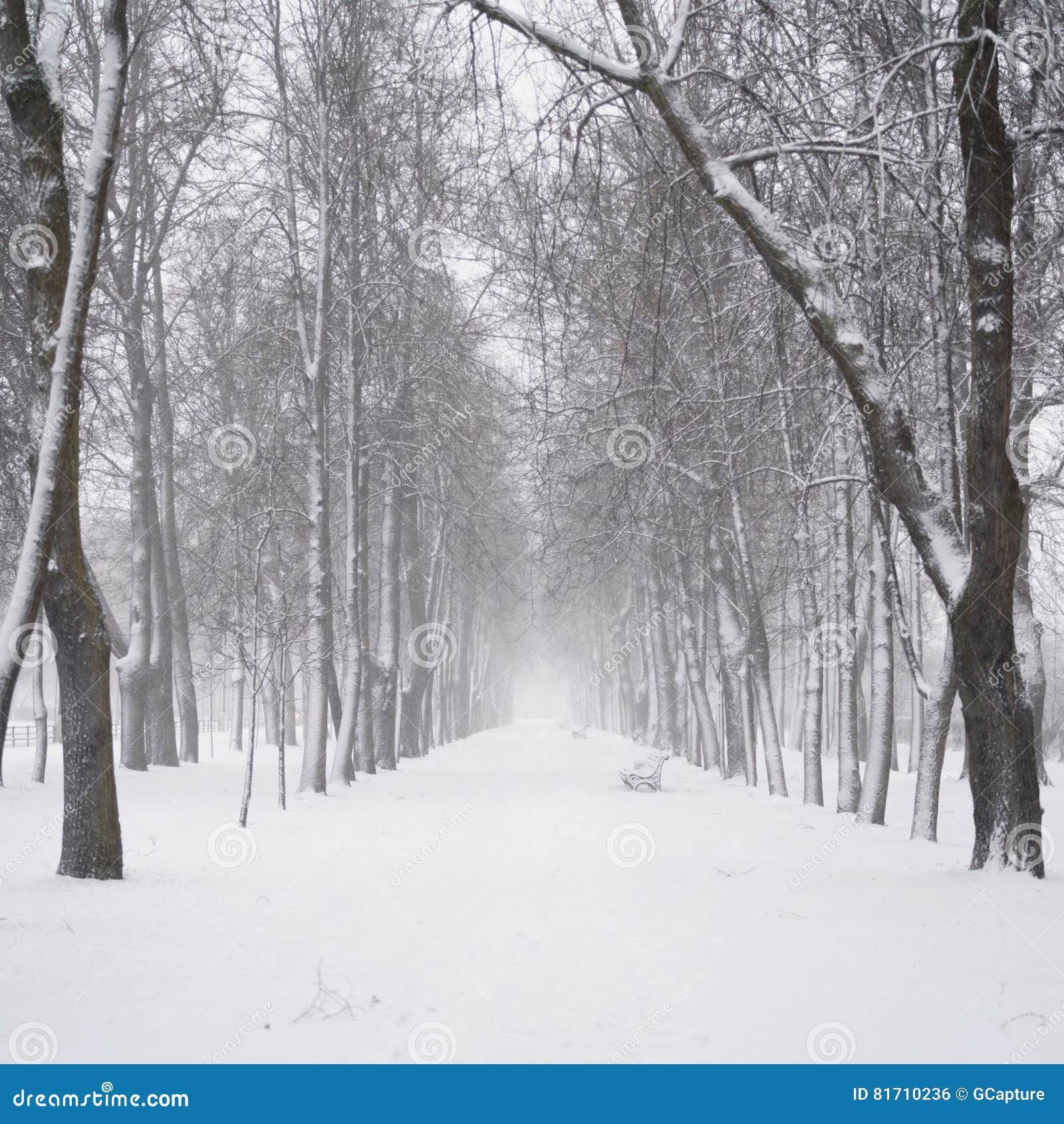 Snow Fall in the Morning on Town Alley Stock Photo - Image of outdoor ...