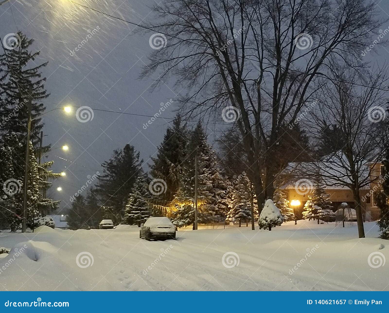 Snow Fall at Night stock image. Image of large, night - 140621657