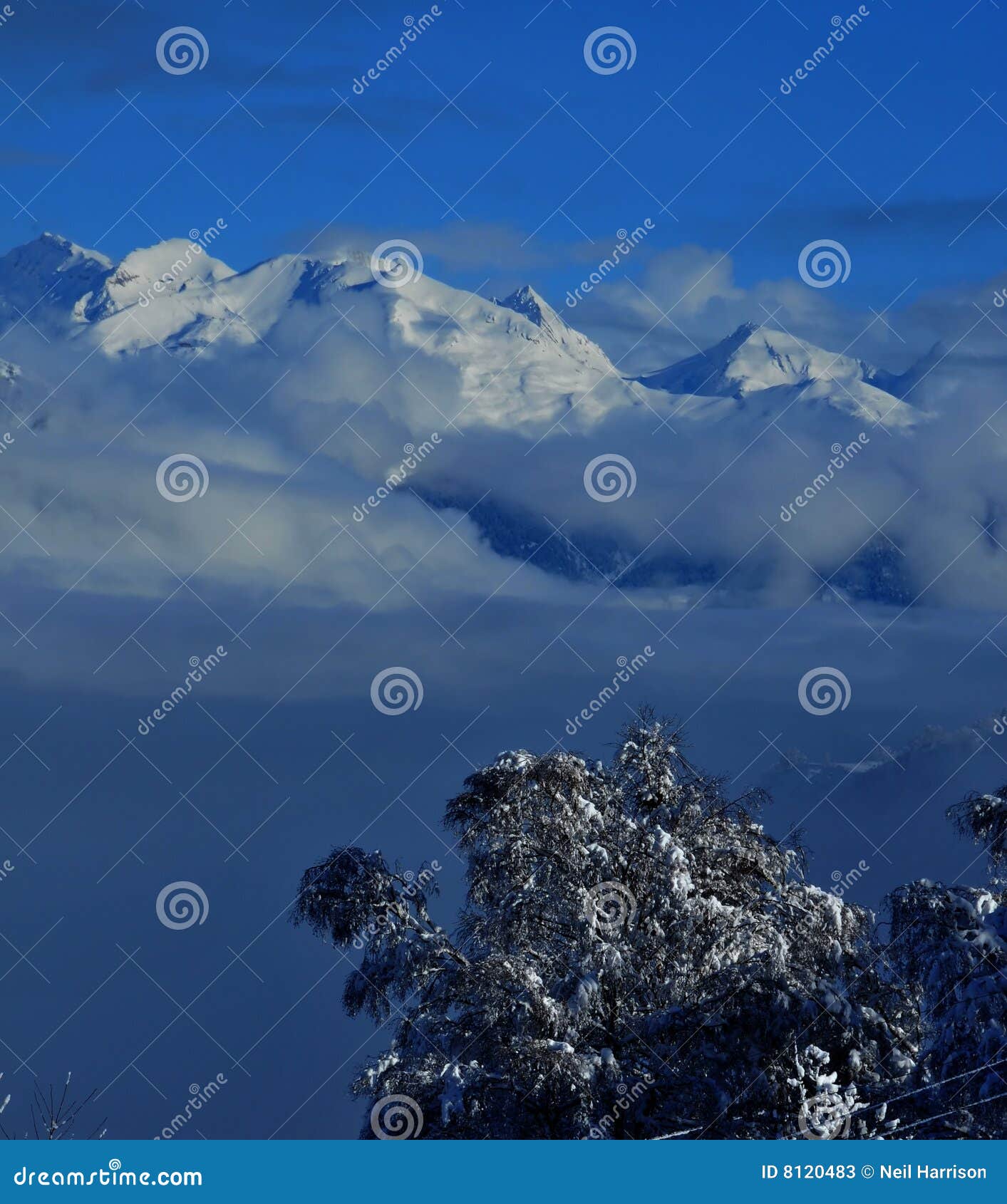 Snow Fall on the Swiss Alps Stock Image - Image of mountains, seasonal ...