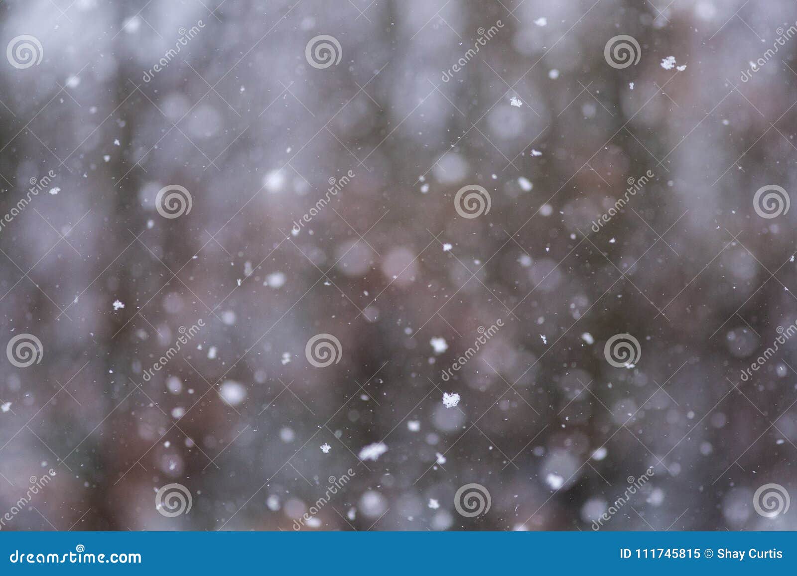 Snow Falling Background Texture Stock Image - Image of winter ...