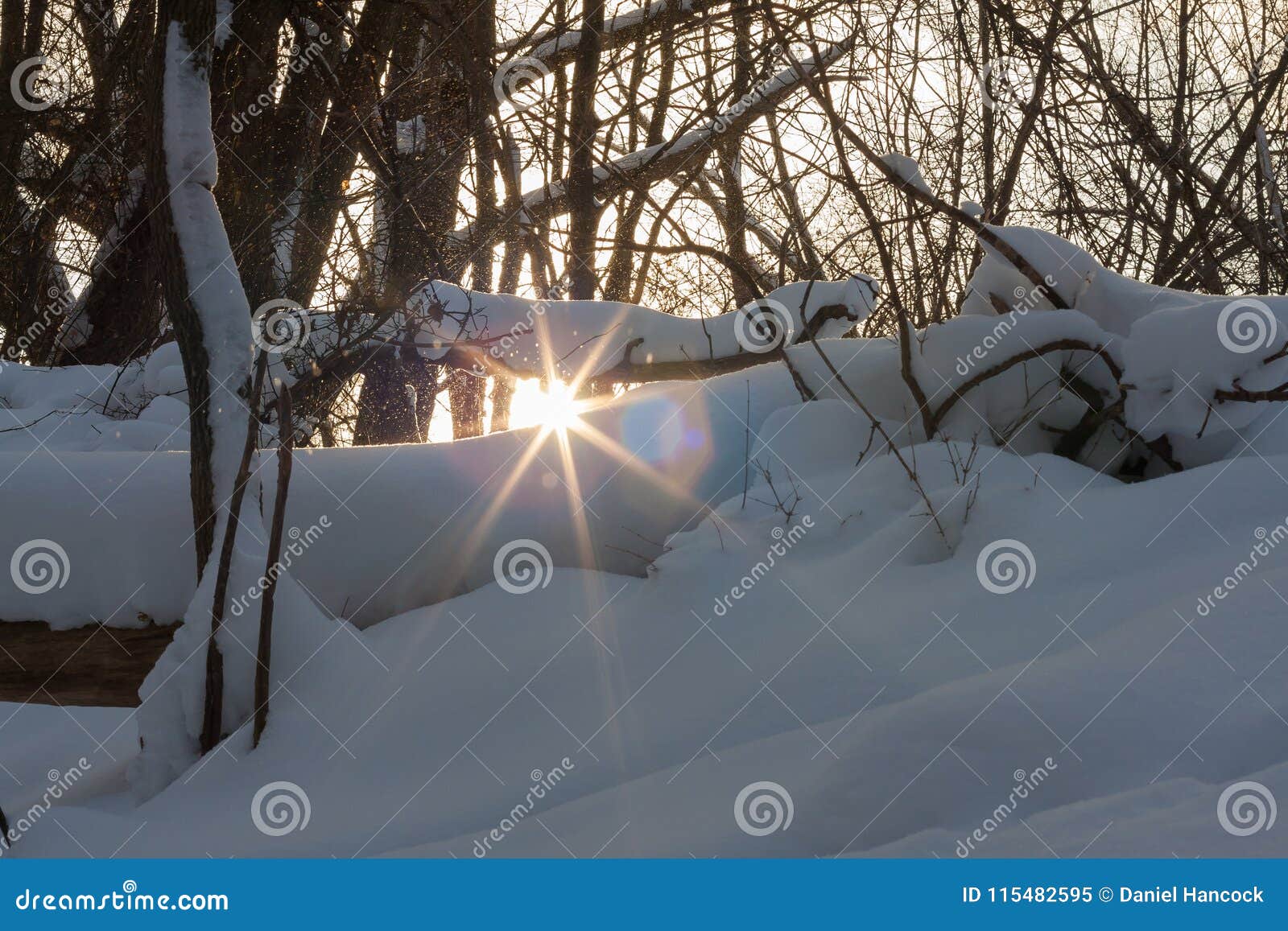 Sun Seen through Falling Snow Stock Image - Image of beautiful, snowy ...