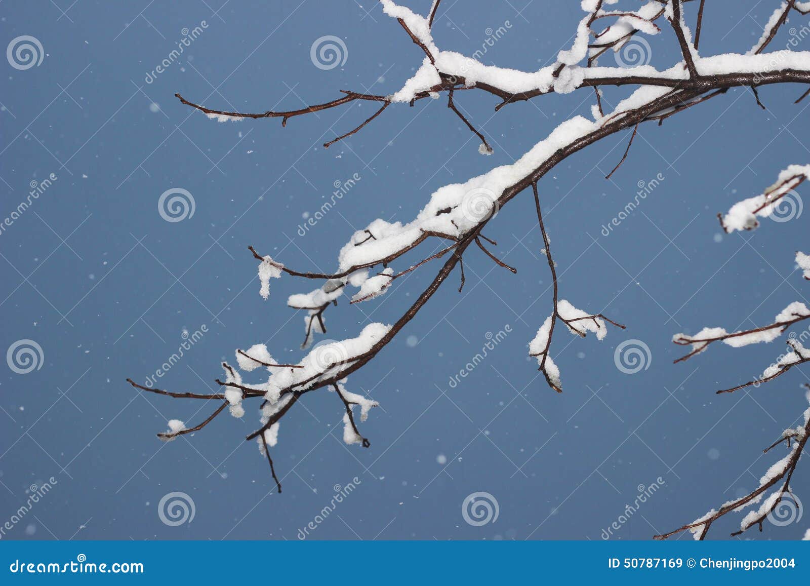 The snow stock image. Image of white, melting, cold, chill - 50787169