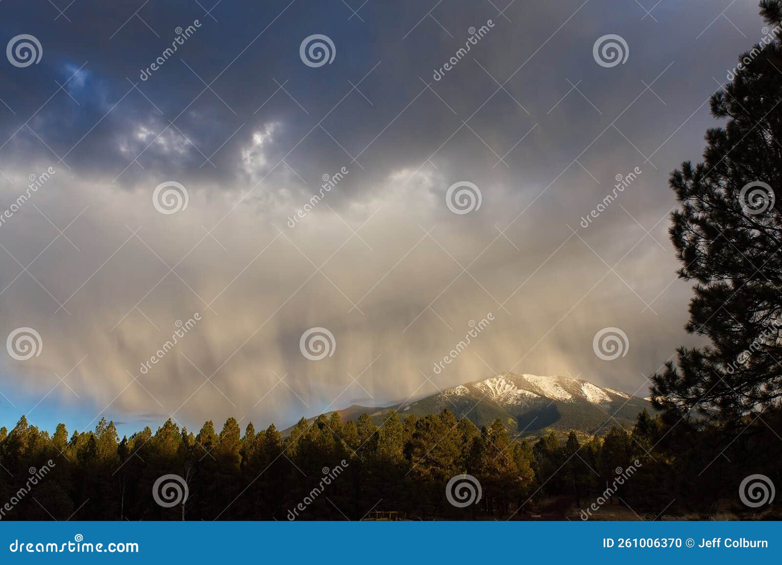 Snow Falling on Mountains with a Pine Forest in the Foreground ...
