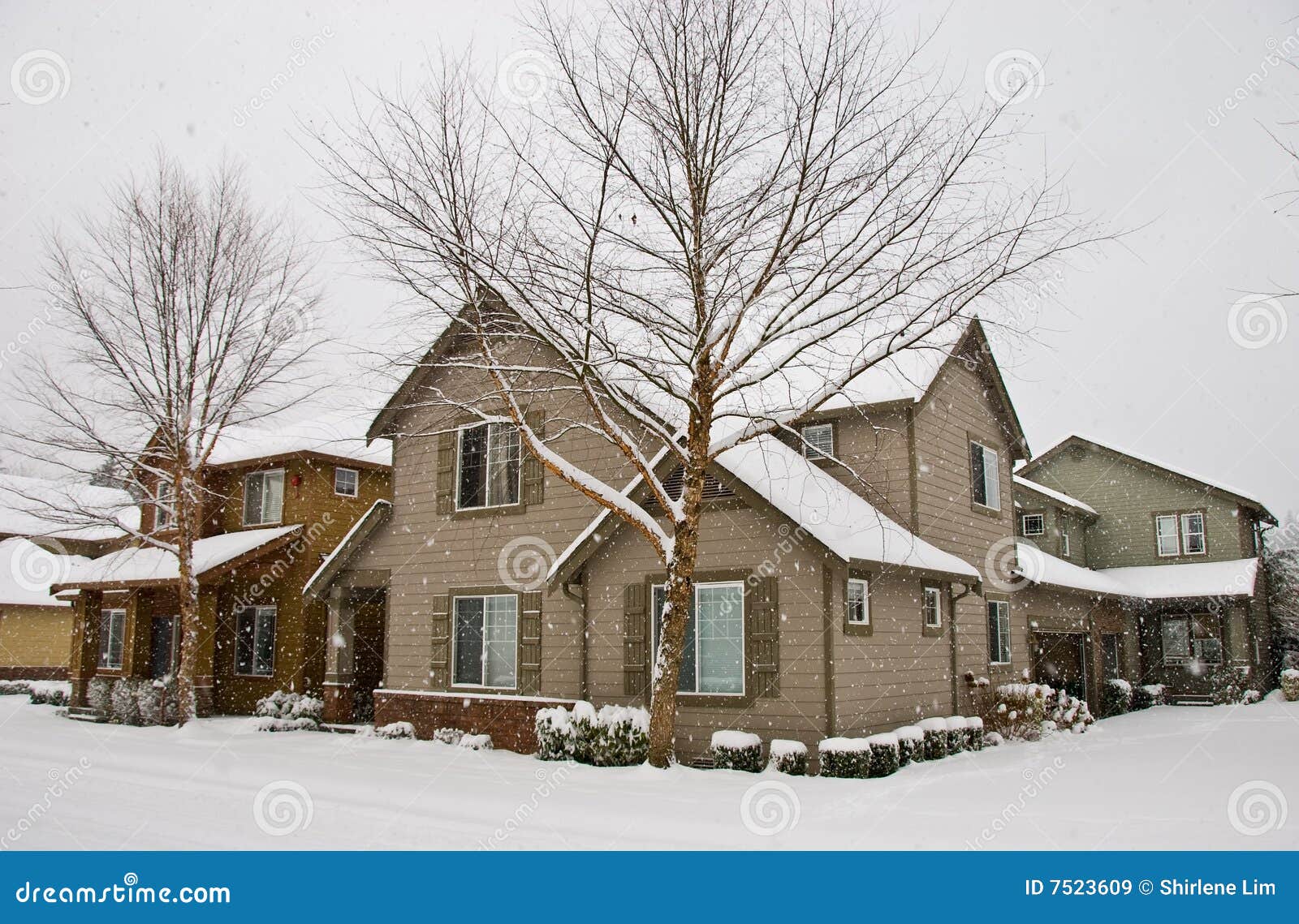 Snow Falling, Covering Residential Homes and Stree Stock Image - Image ...