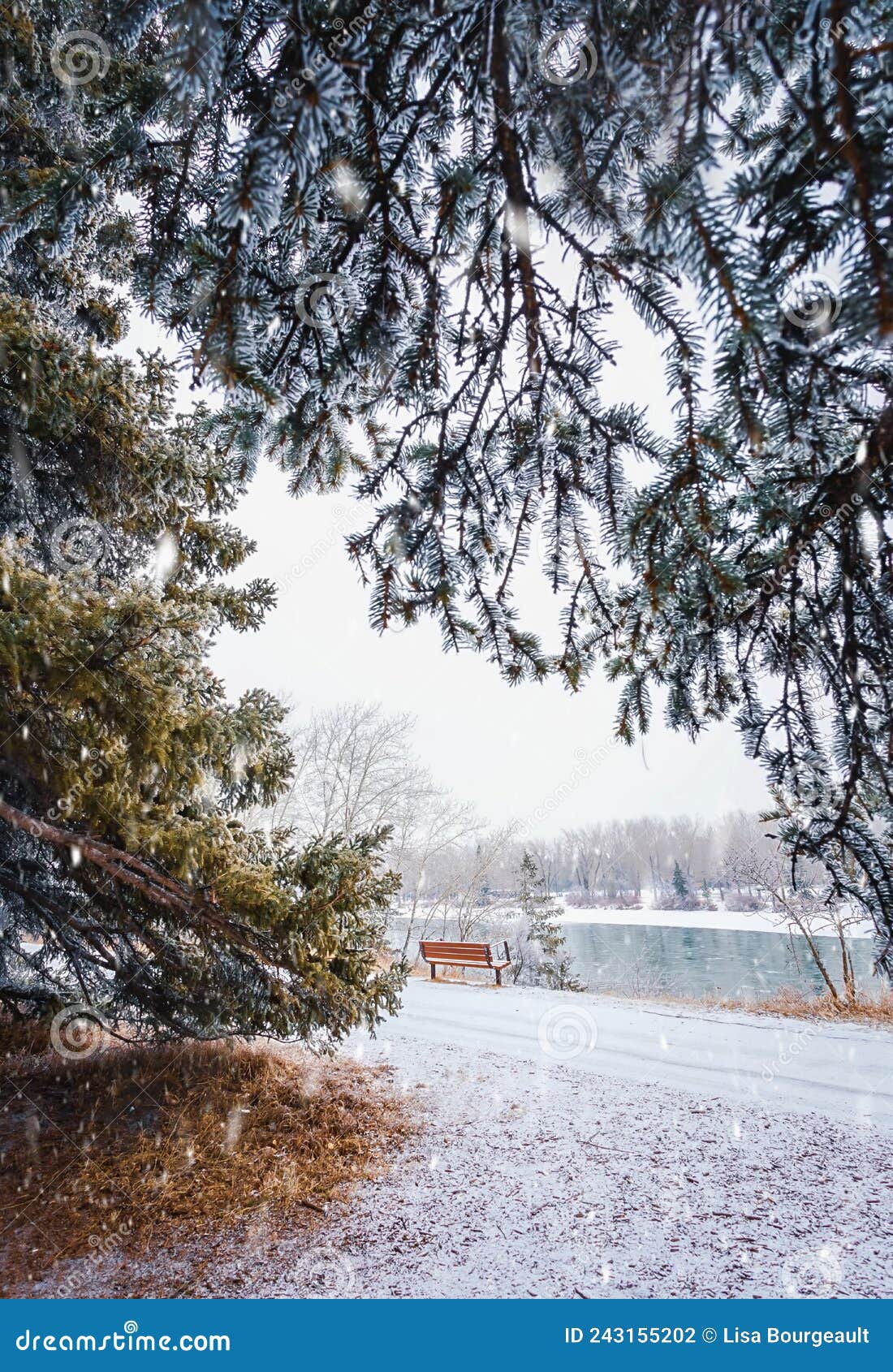 Snow Falling Down in a Wintry Park Stock Photo - Image of season ...