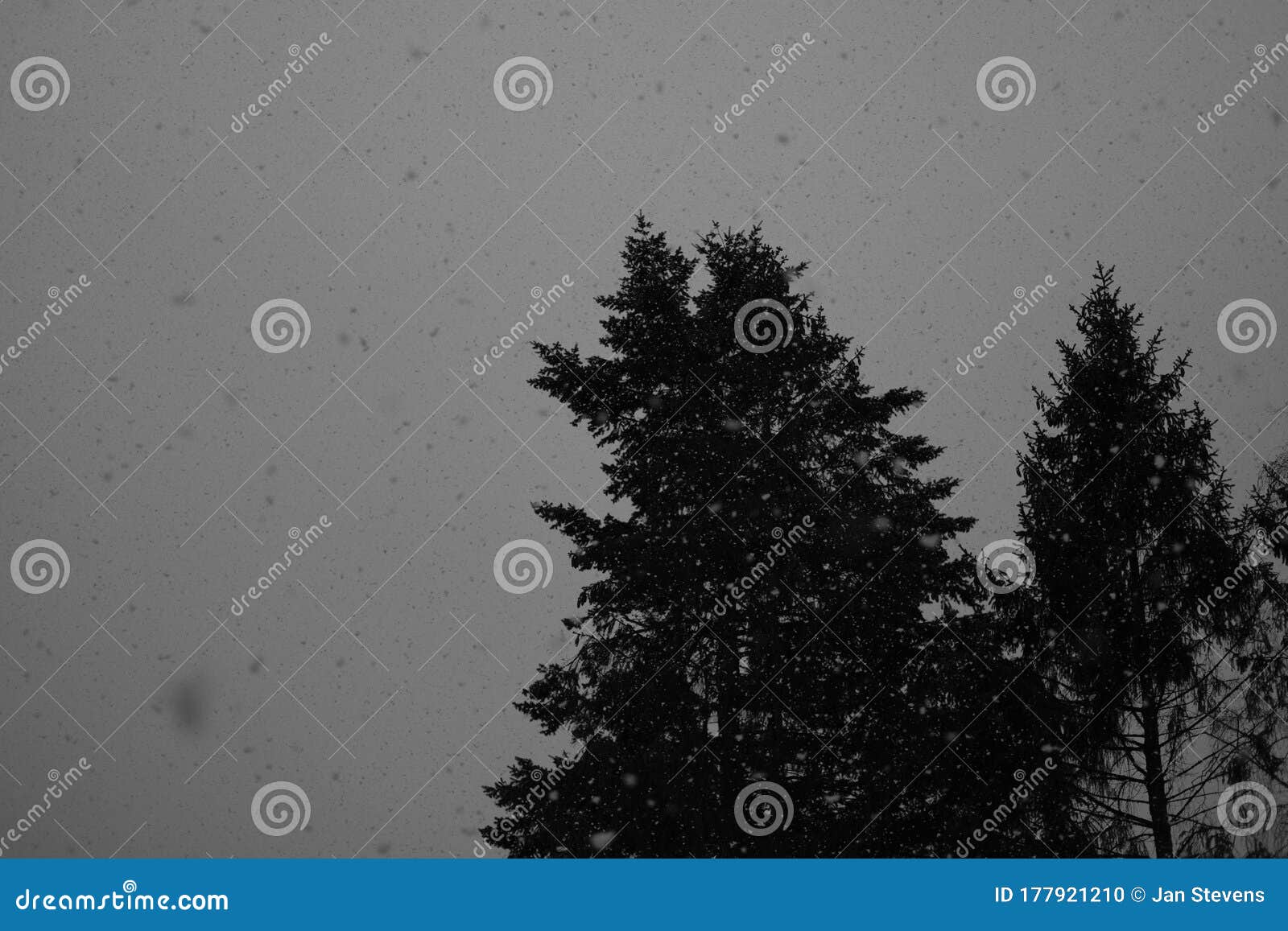 Snow Falling in the Dull and Dreary Winter Stock Photo - Image of ...