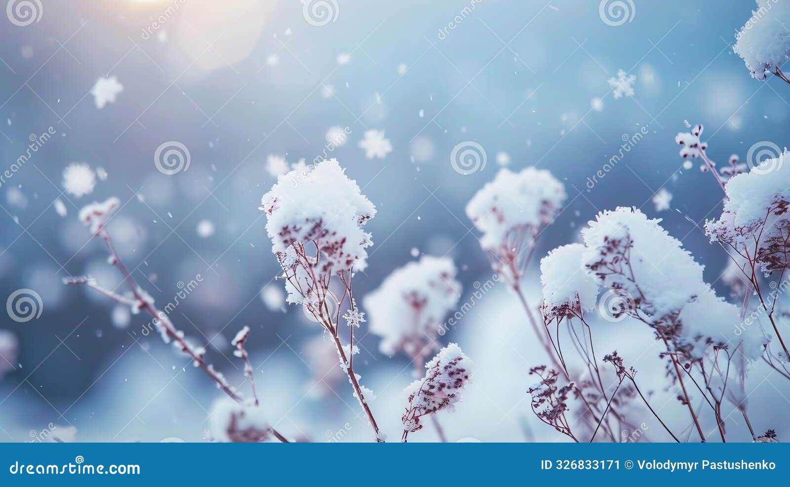 Snow Falling on a Field of Plants Stock Image - Image of falling ...
