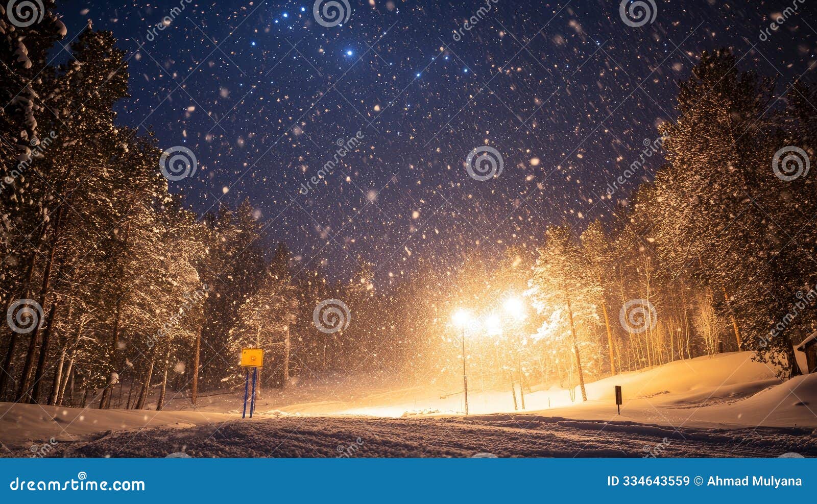 Snow Falling at Night in a Snowy Dark Forest, Lights and Stars Stock ...