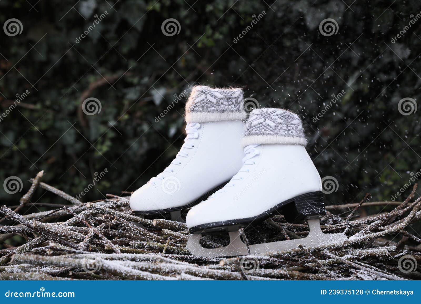 Snow Falling on Pair of Ice Skates Outdoors Stock Photo - Image of ...