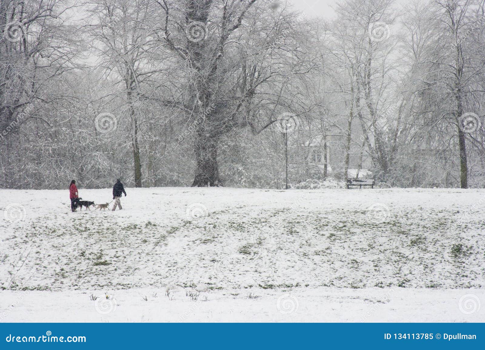 Snowfall in Park stock image. Image of bench, winter - 134113785