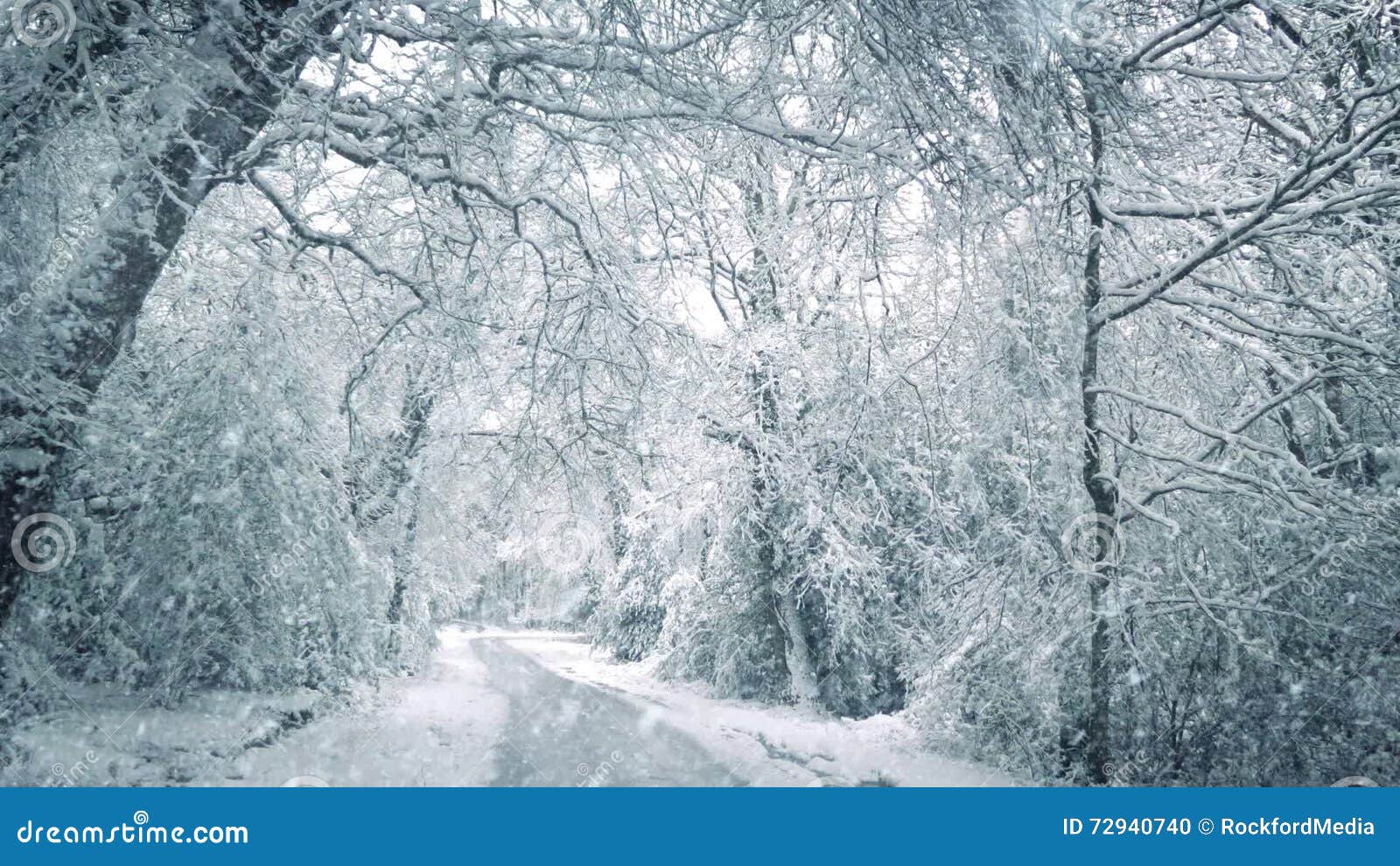 Snow Falling on Road through Woods Stock Footage - Video of heavy ...