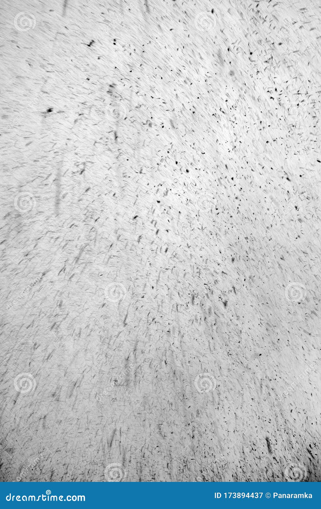Snow falling from the sky stock image. Image of season - 173894437