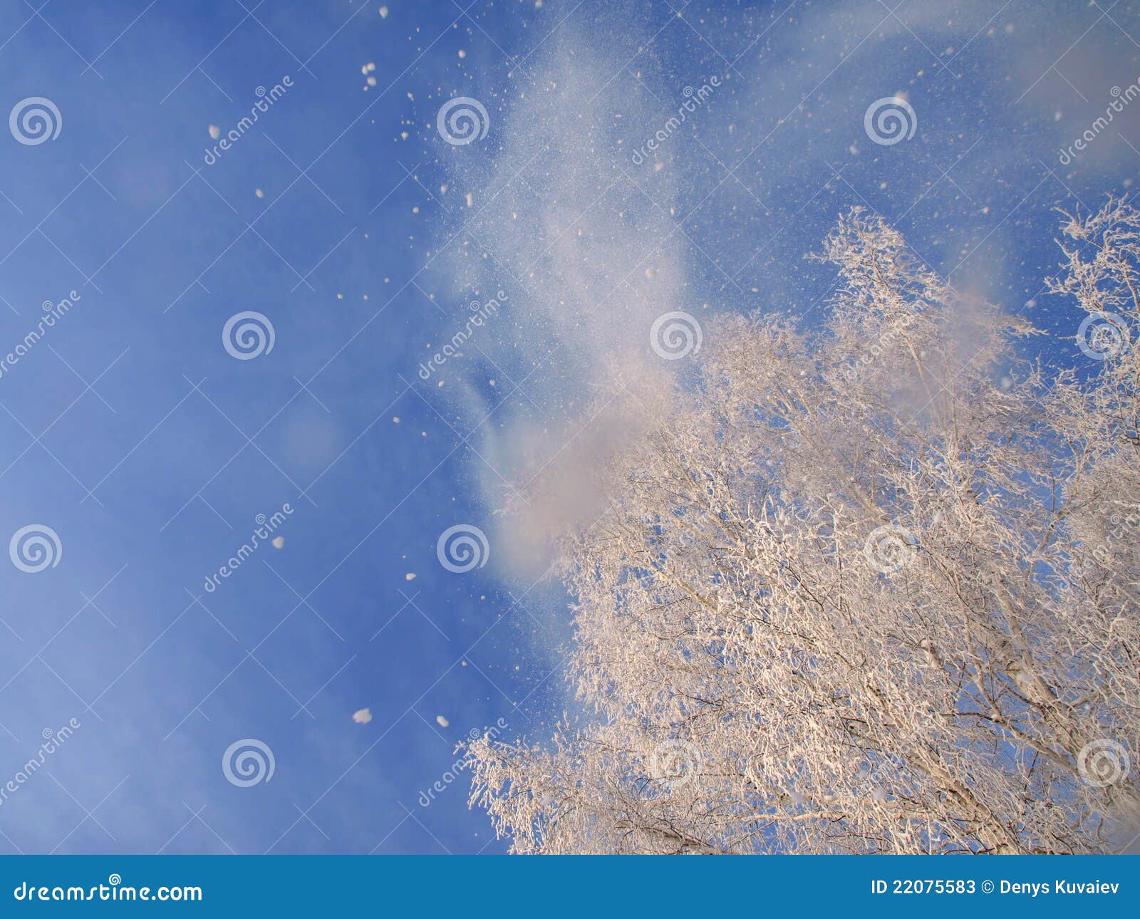 Snow Falling From The Sky