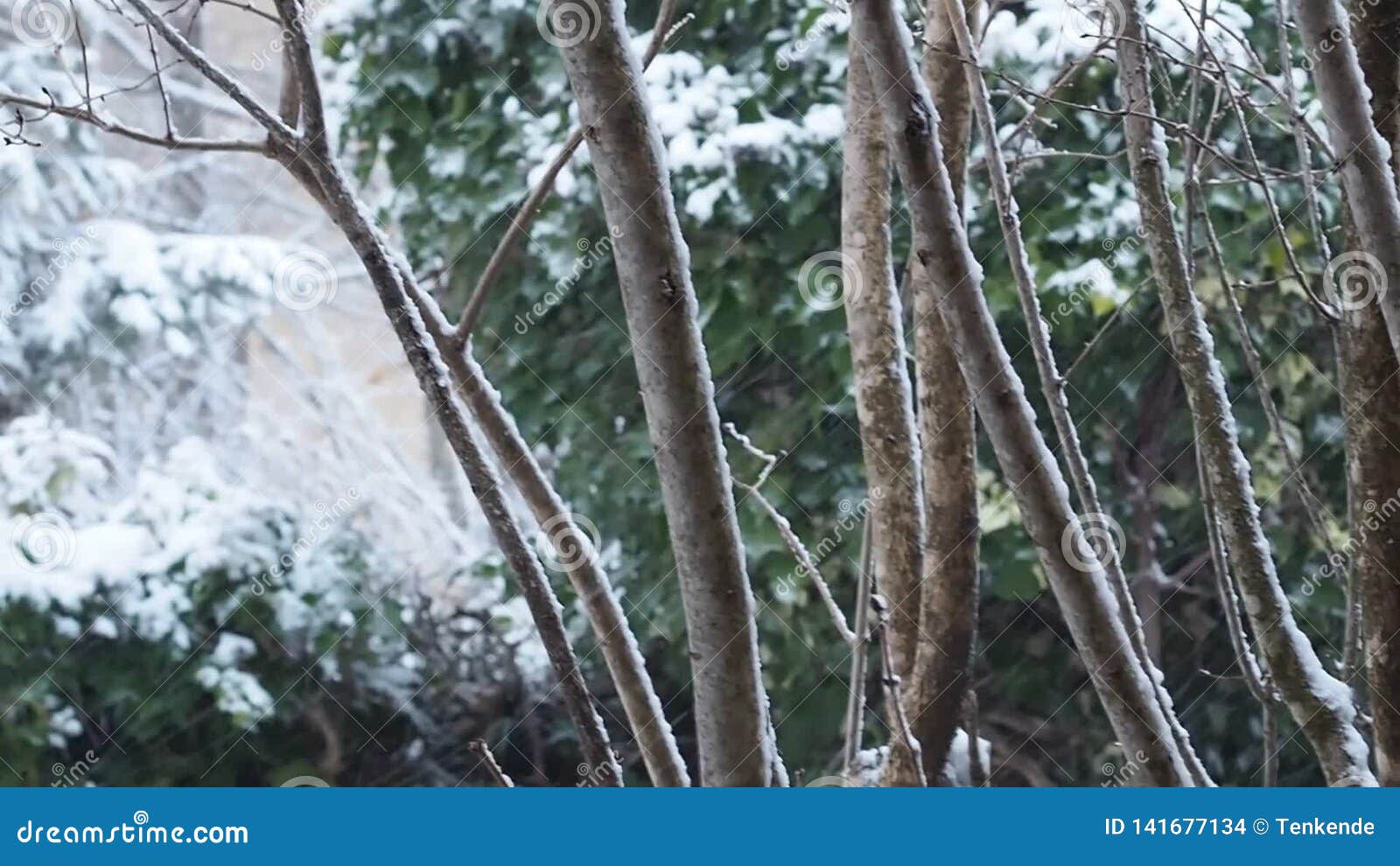 Snow Falling during Snow Storm on Backyard Stock Footage - Video of ...