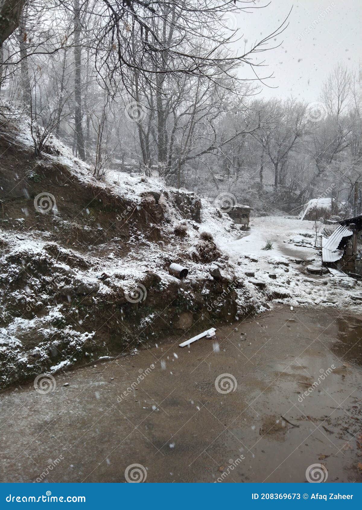 Snow falling in winter. stock image. Image of falling - 208369673