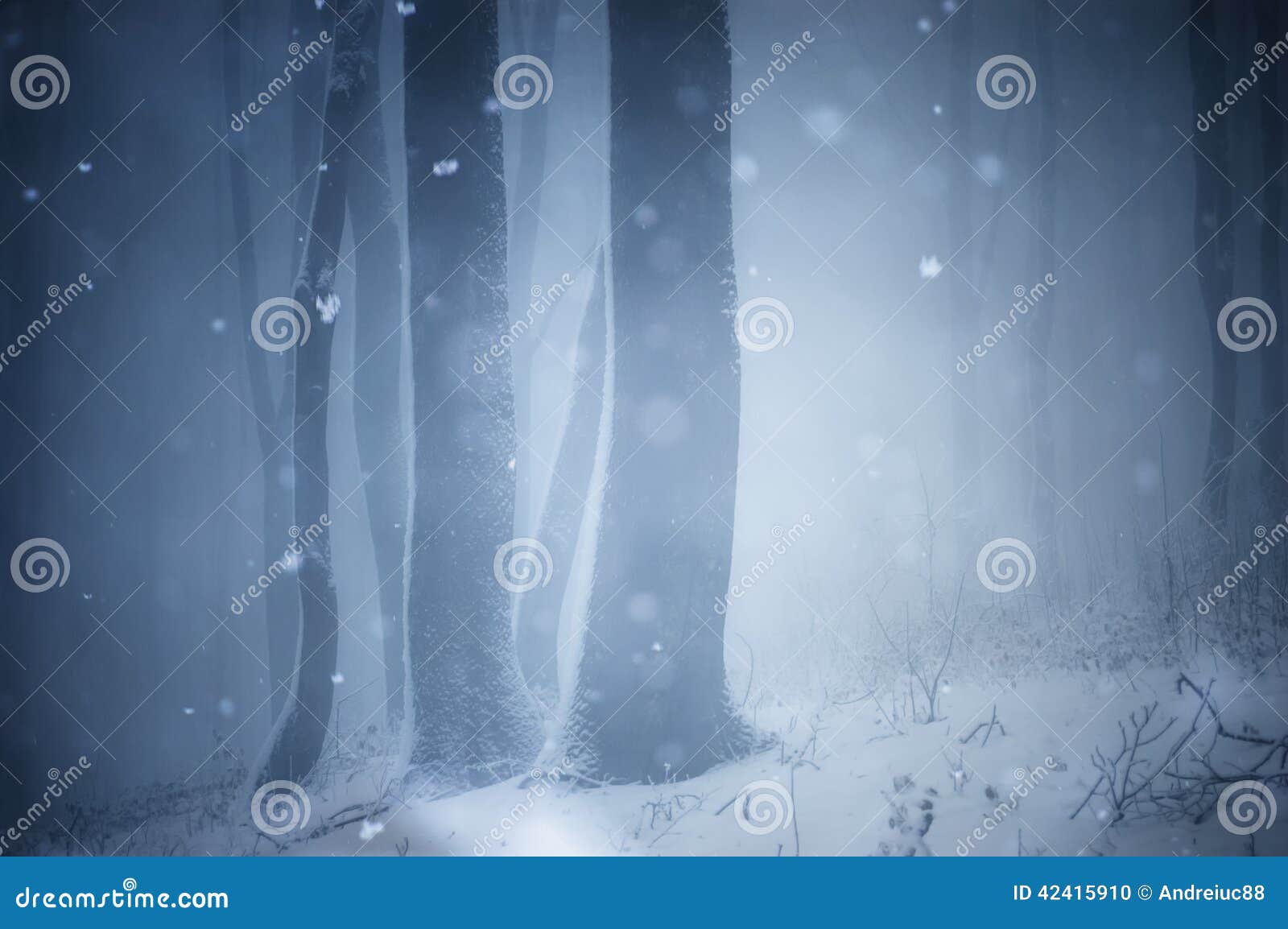 Snow Falling in Winter in Forest Stock Photo - Image of mist ...