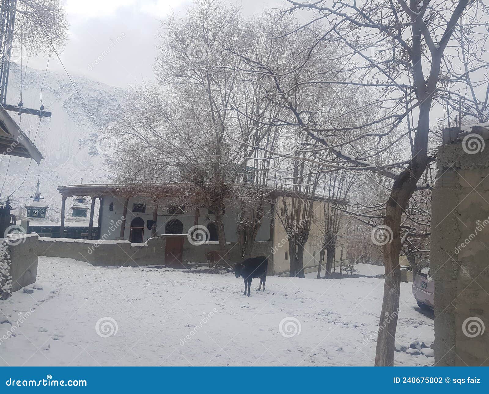 Snow Falls Beautiful Evening and Views Stock Photo - Image of evening ...