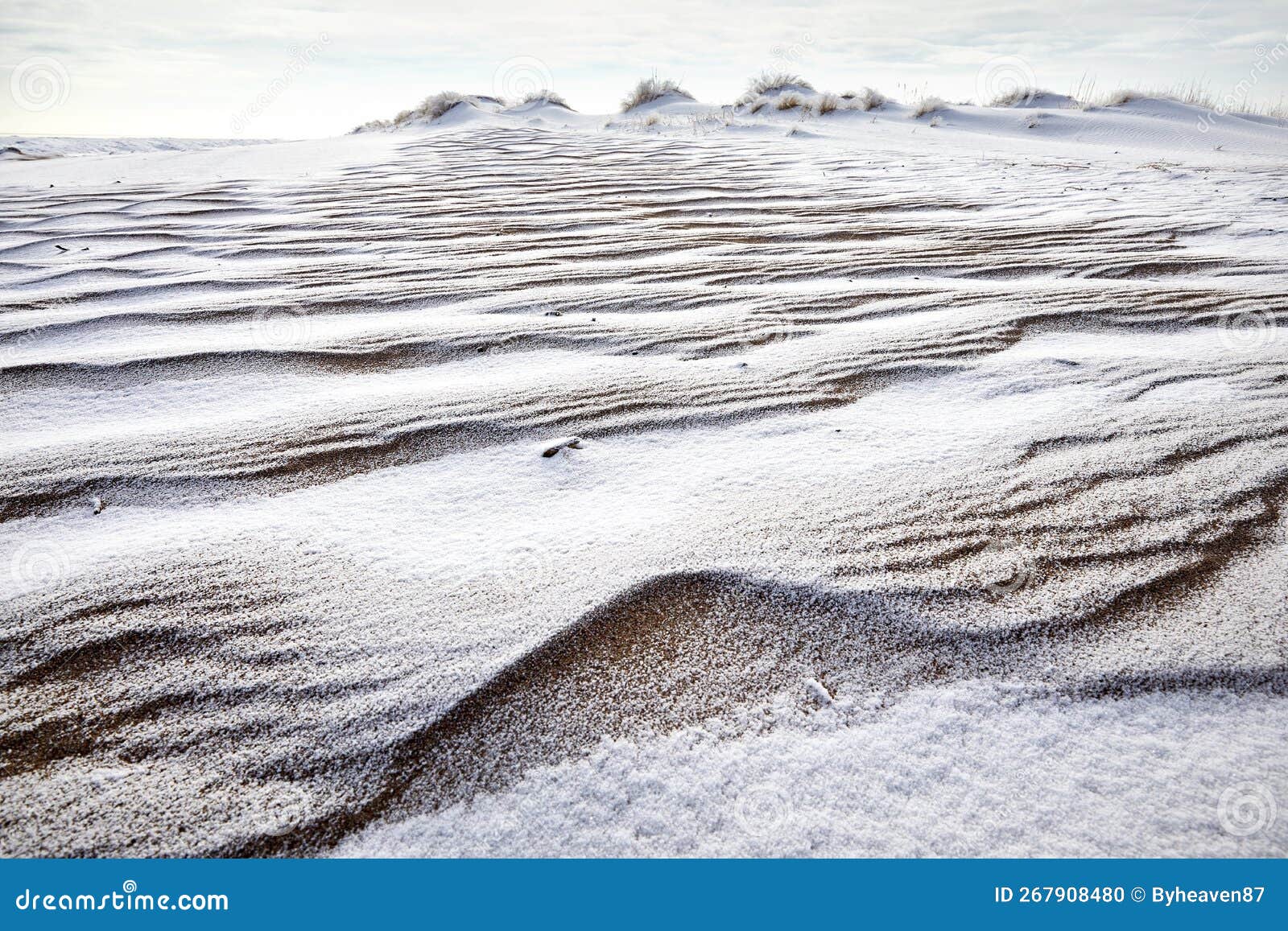 Snow Falls in the Desert Dune Stock Photo - Image of grass, nature ...