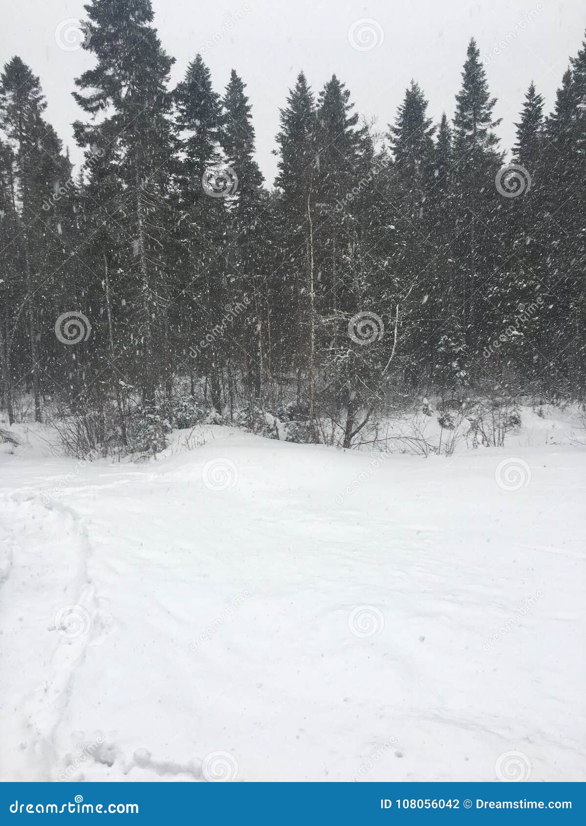 Snow falls stock photo. Image of fall, snow, falls, winter - 108056042