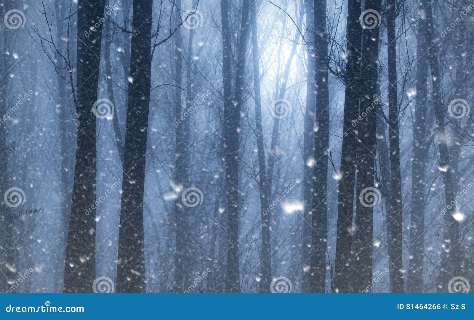 The Snow Falls in the Mystic Wild Forest Stock Photo - Image of fantasy ...