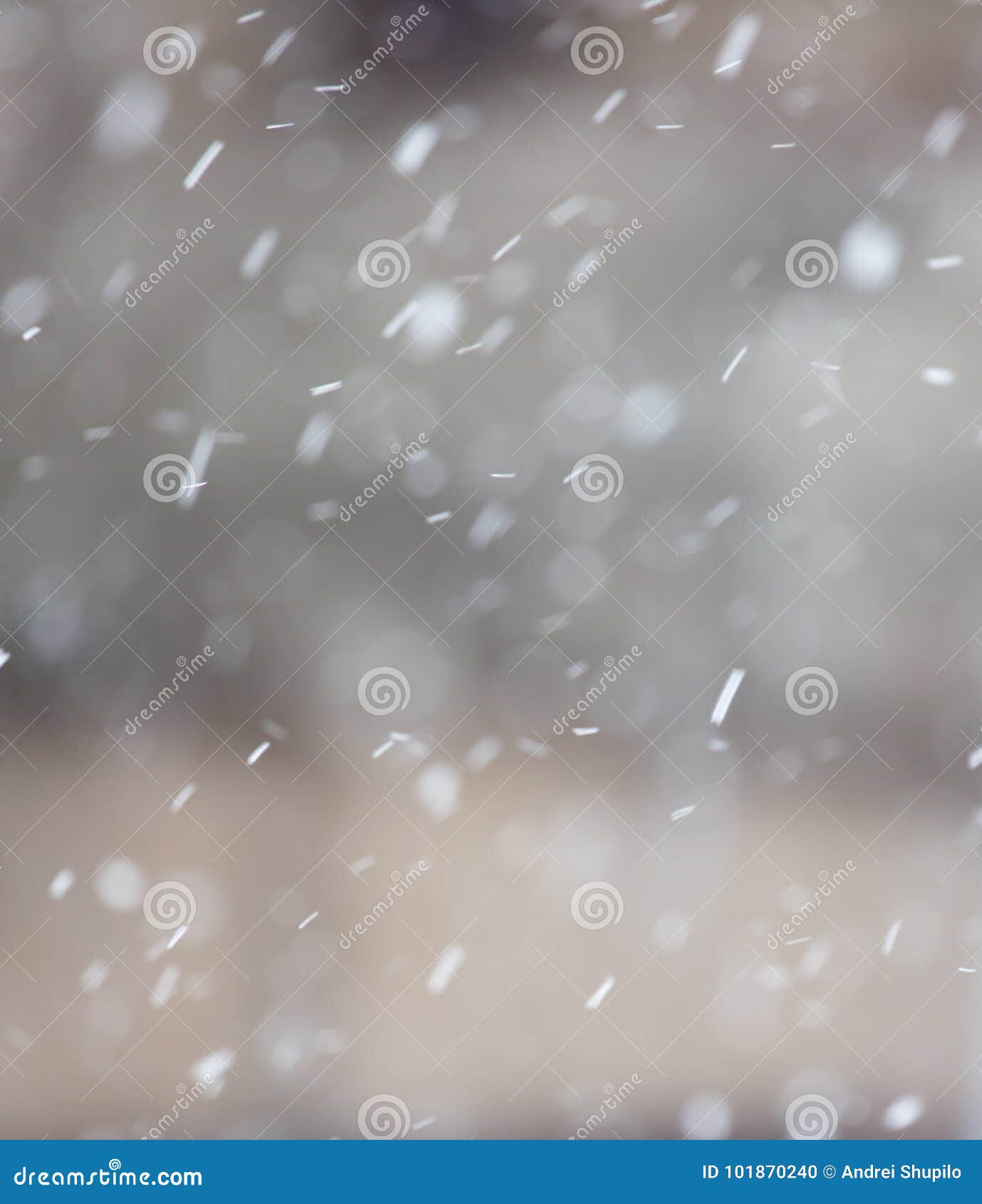 Snow falls on the nature stock photo. Image of season - 101870240