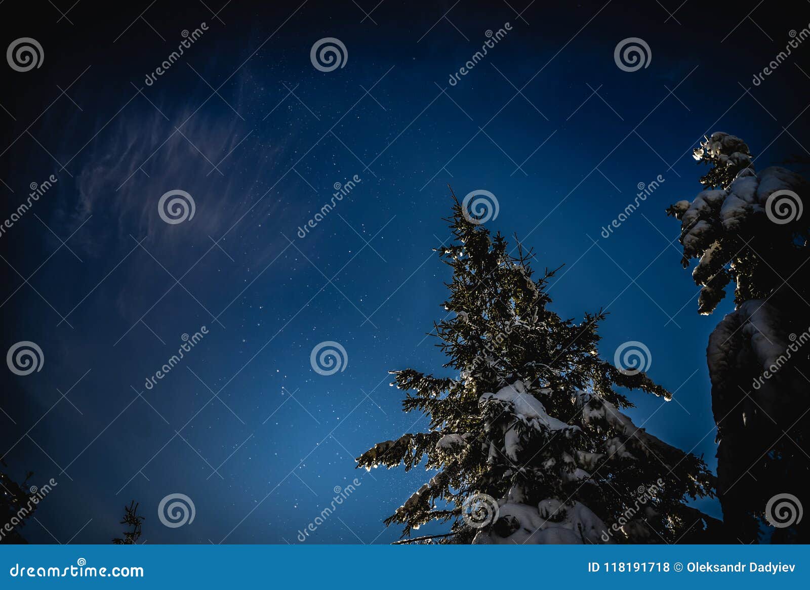 The Snow Falls from the Tree. Snow Like Stars Stock Photo - Image of ...