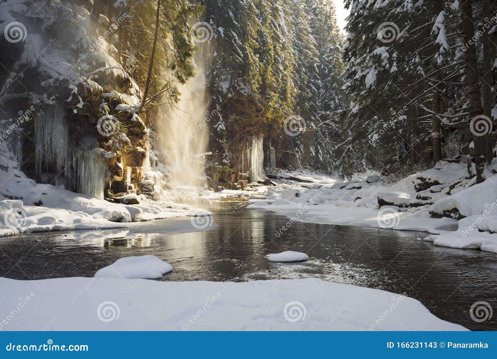 Snow Falls from Trees Canyon Stock Image - Image of nature, release ...
