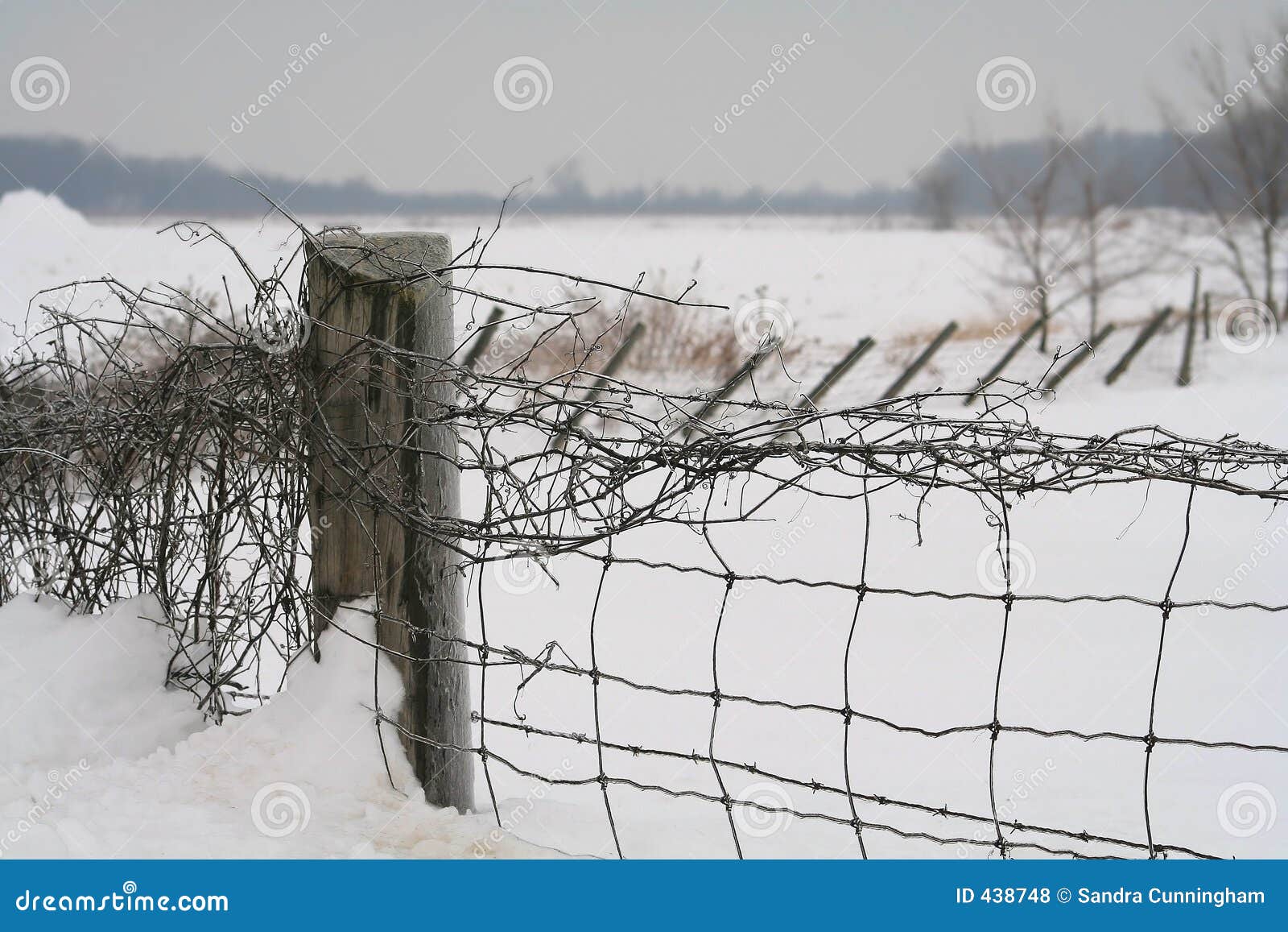 Snow fence stock photo. Image of wooden, white, plants - 438748
