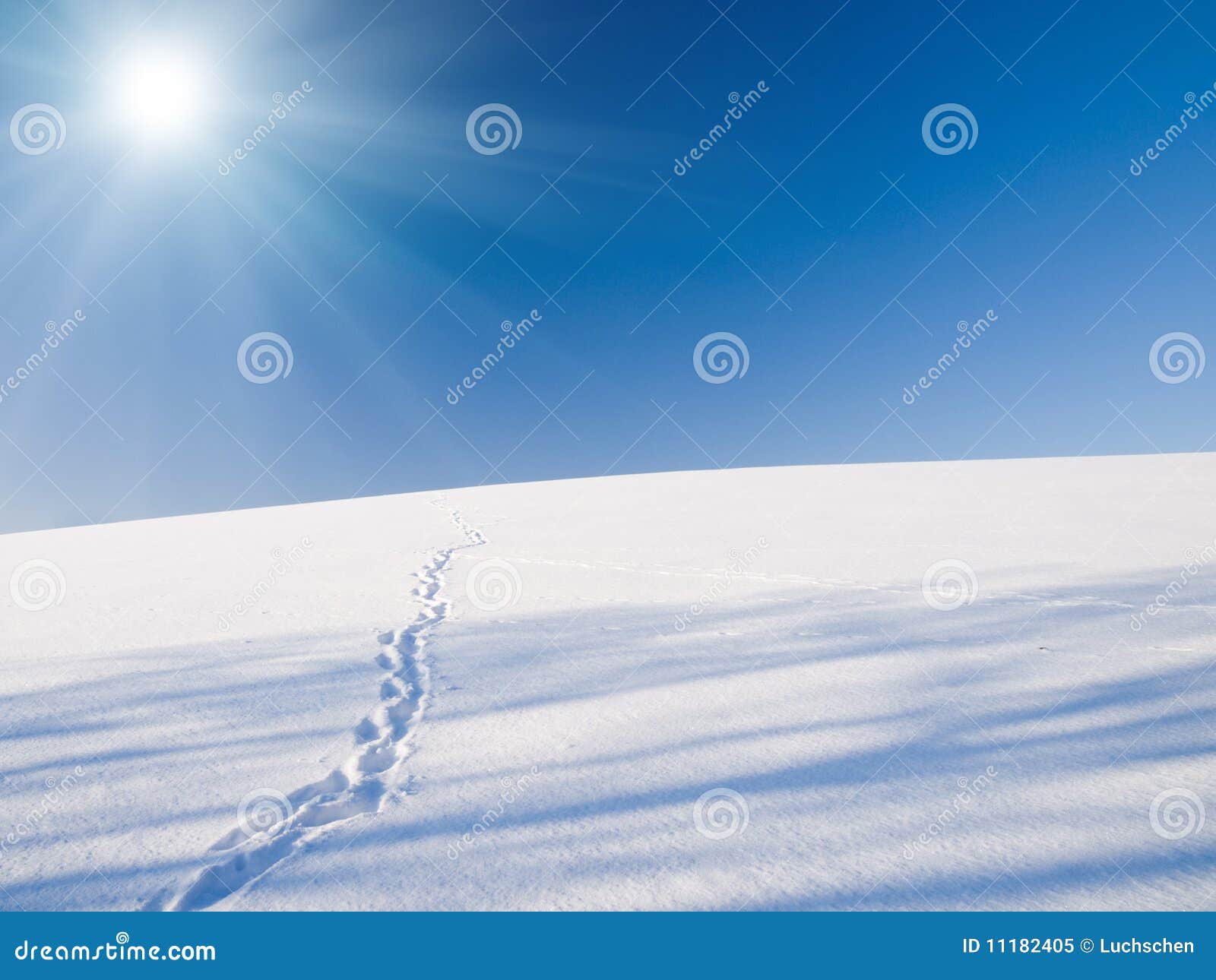 Snow field stock image. Image of landscape, white, cold - 11182405