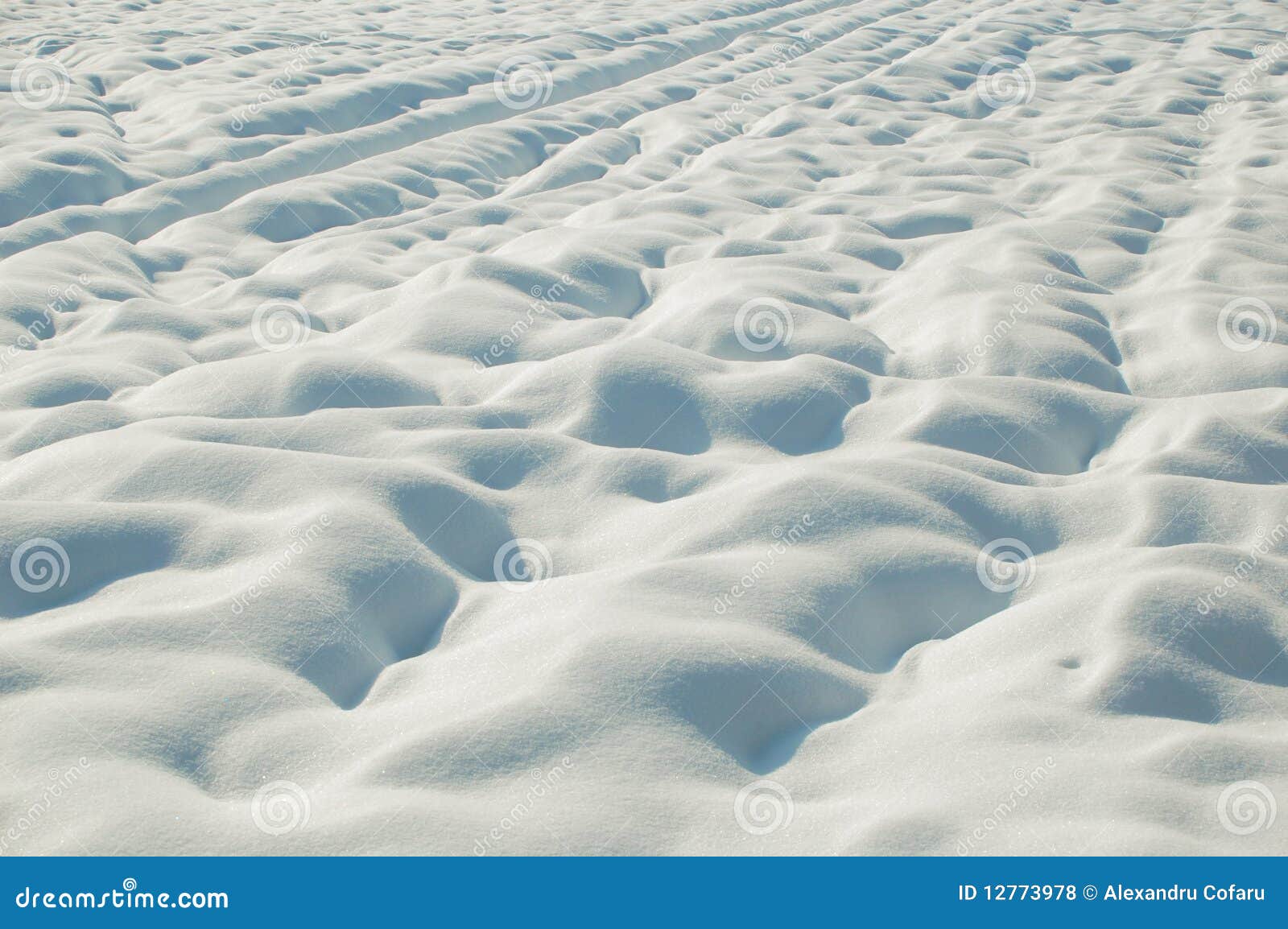 Snow on field stock photo. Image of countryside, frost - 12773978