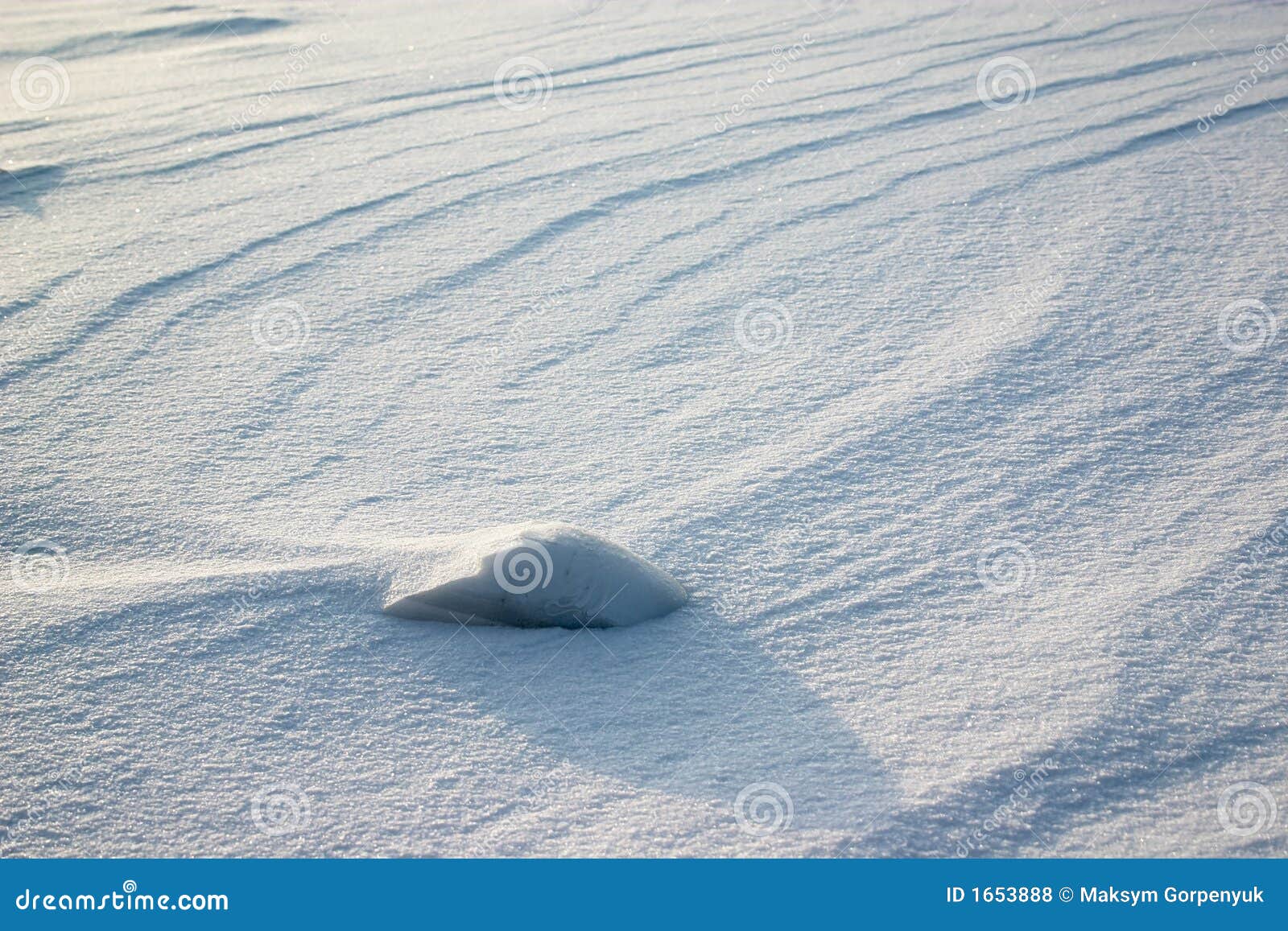 Snow field stock photo. Image of water, arctic, calm, tundra - 1653888
