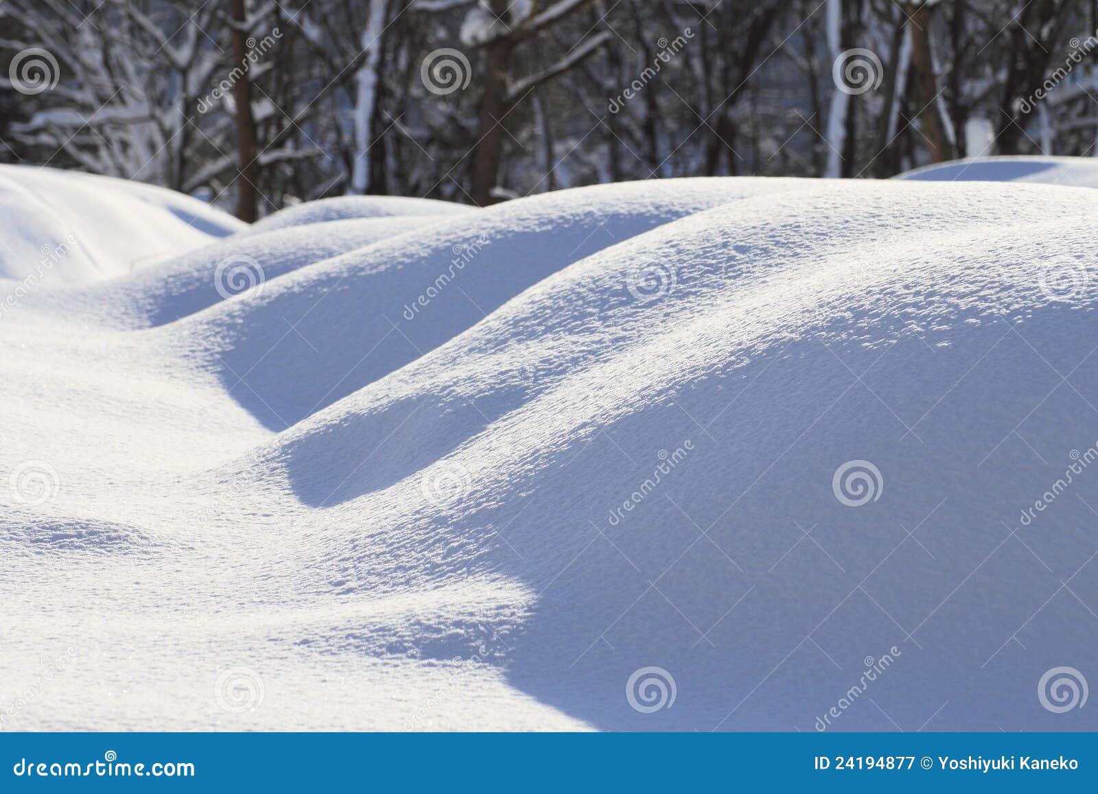 Snow field stock image. Image of snow, snowflake, white - 24194877