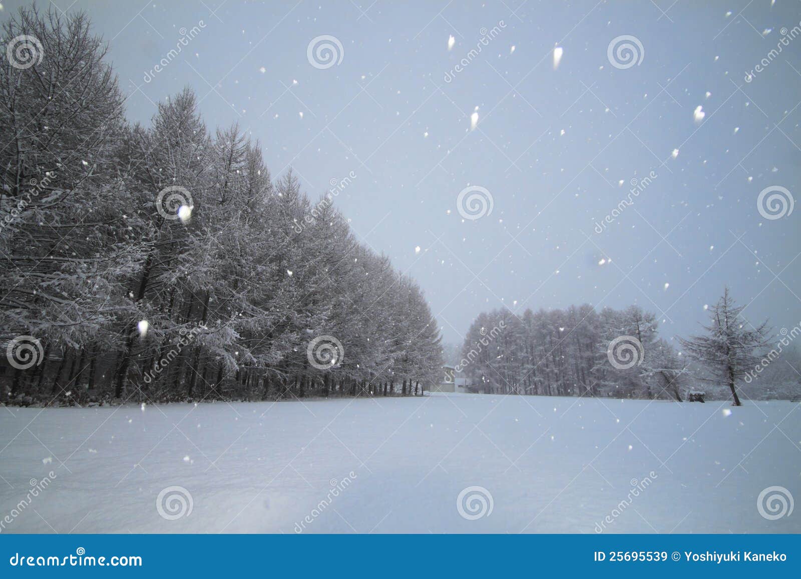 Snow field stock image. Image of landscape, beautiful - 25695539