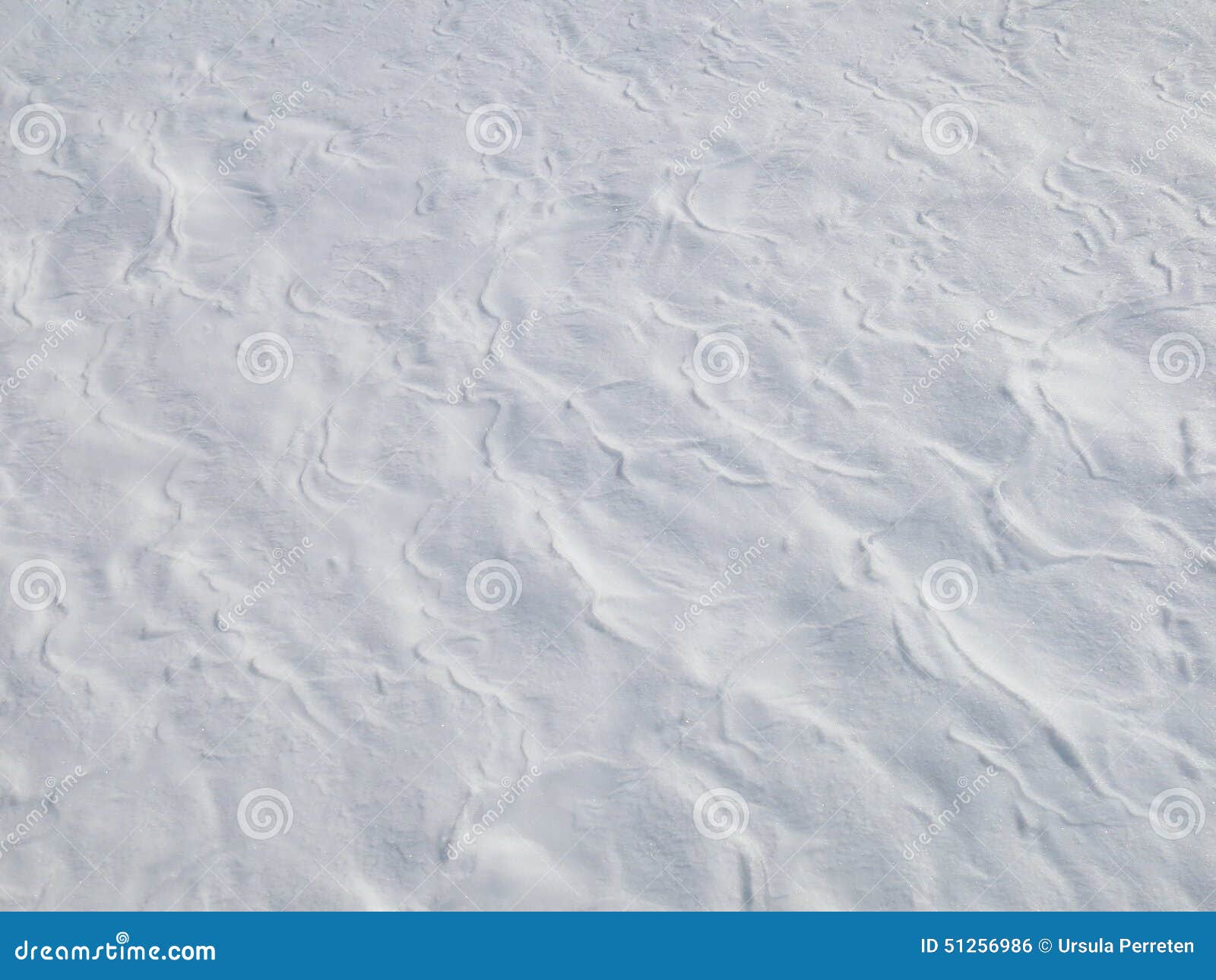 Snow field stock photo. Image of season, nature, beautiful - 51256986