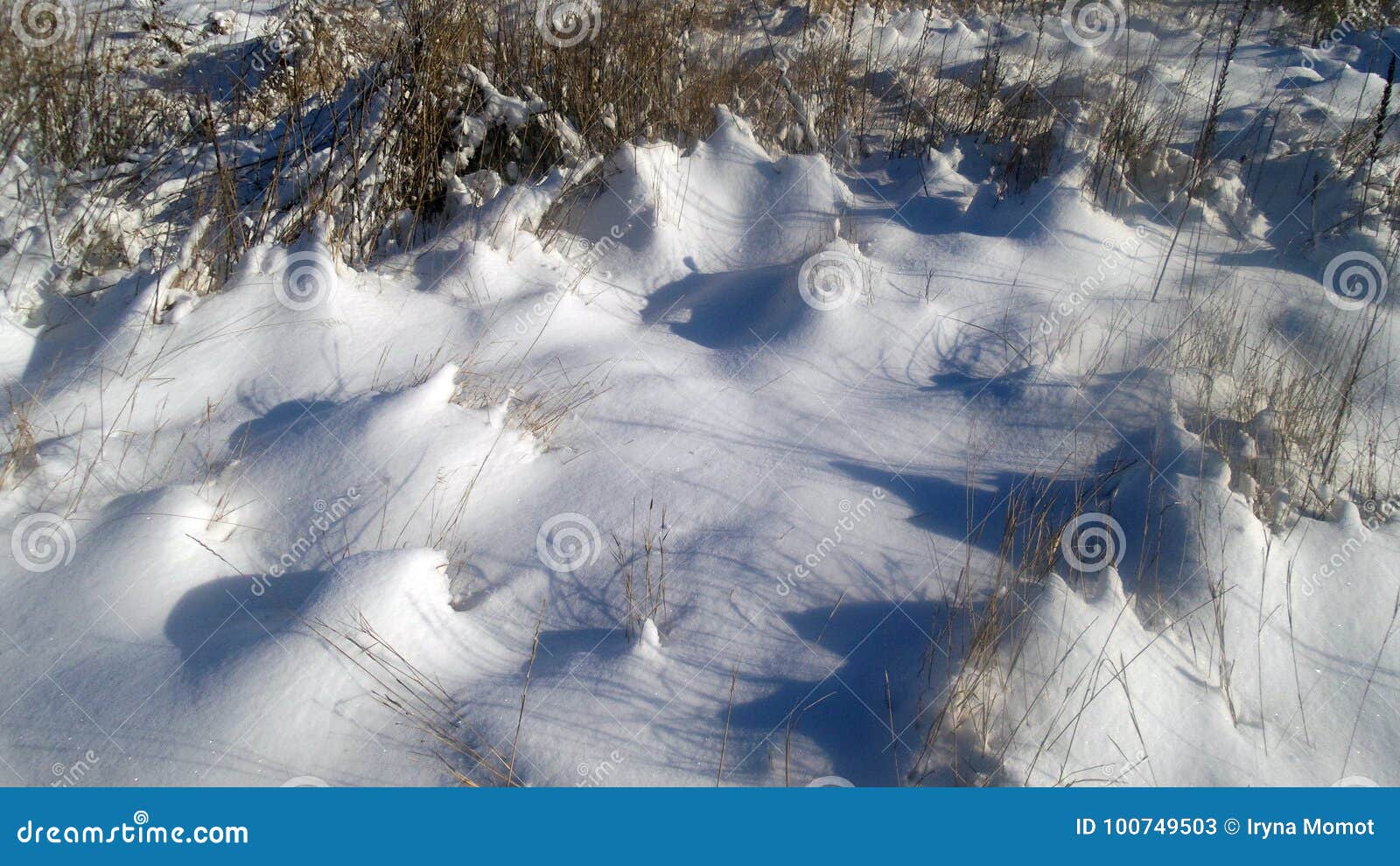 Snow in field stock image. Image of white, nature, blue - 100749503