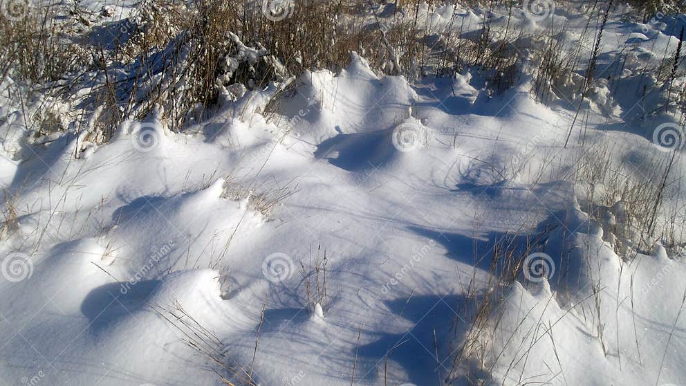 Snow in field stock image. Image of white, nature, blue - 100749503