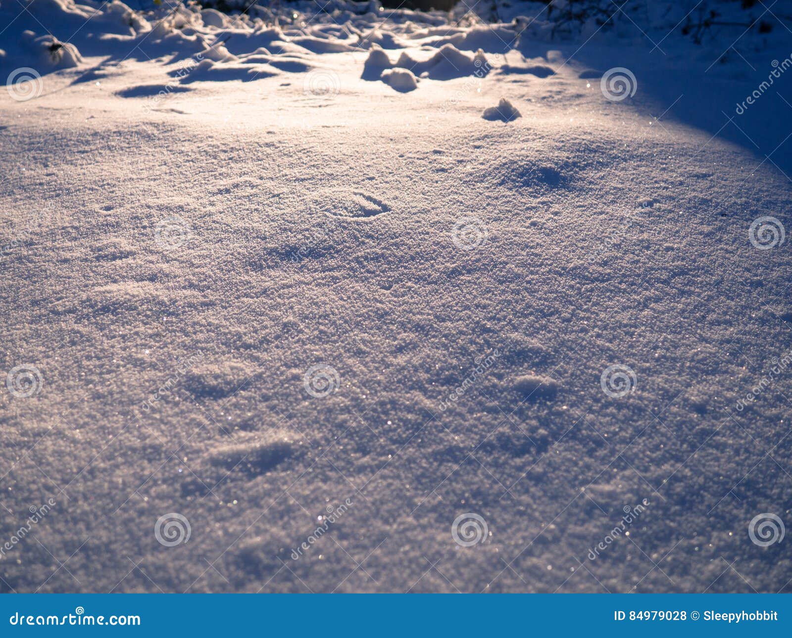 Snow field stock photo. Image of winter, frost, pure - 84979028