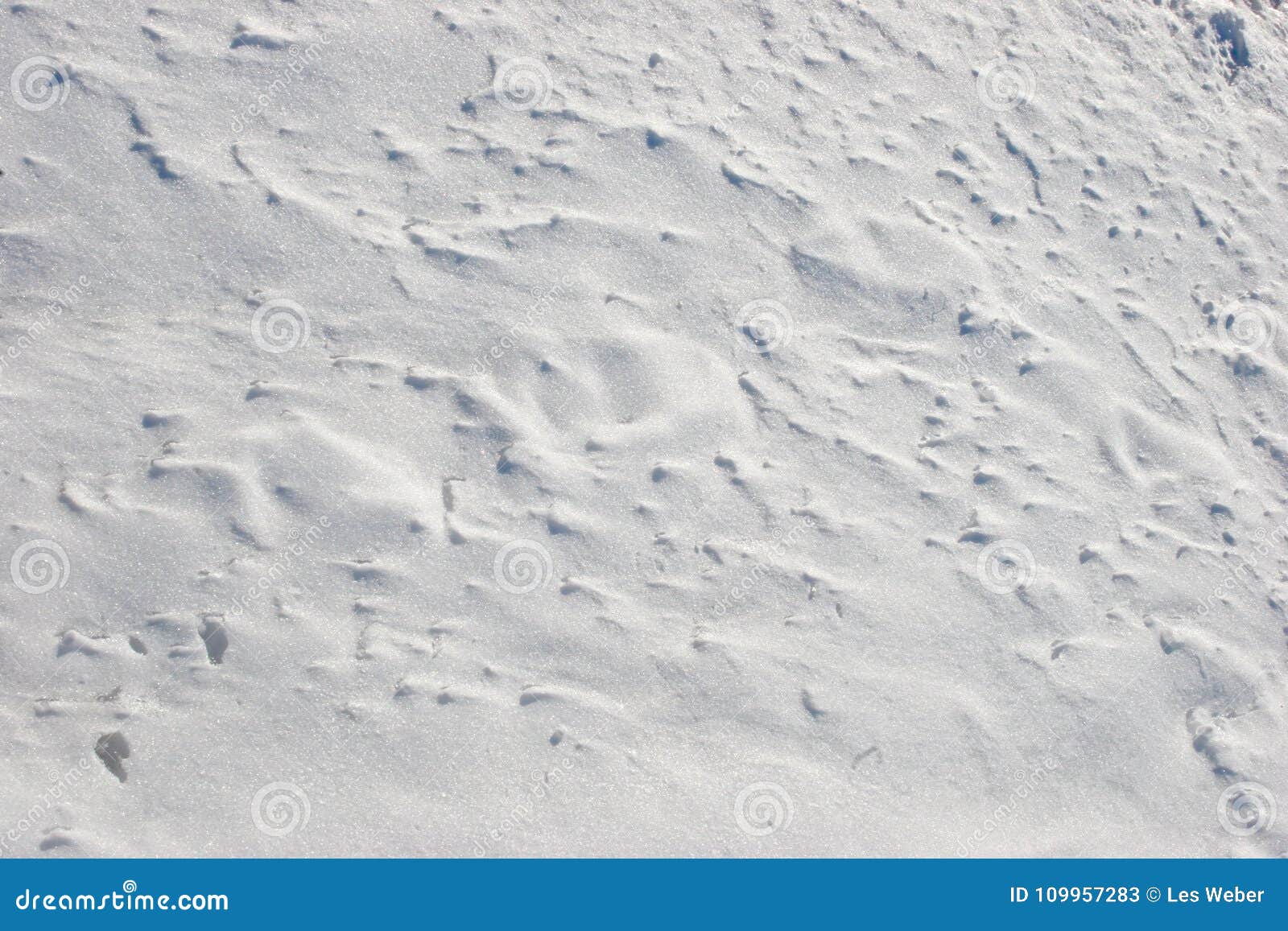 Snow Field Texture stock image. Image of natural, frost - 109957283