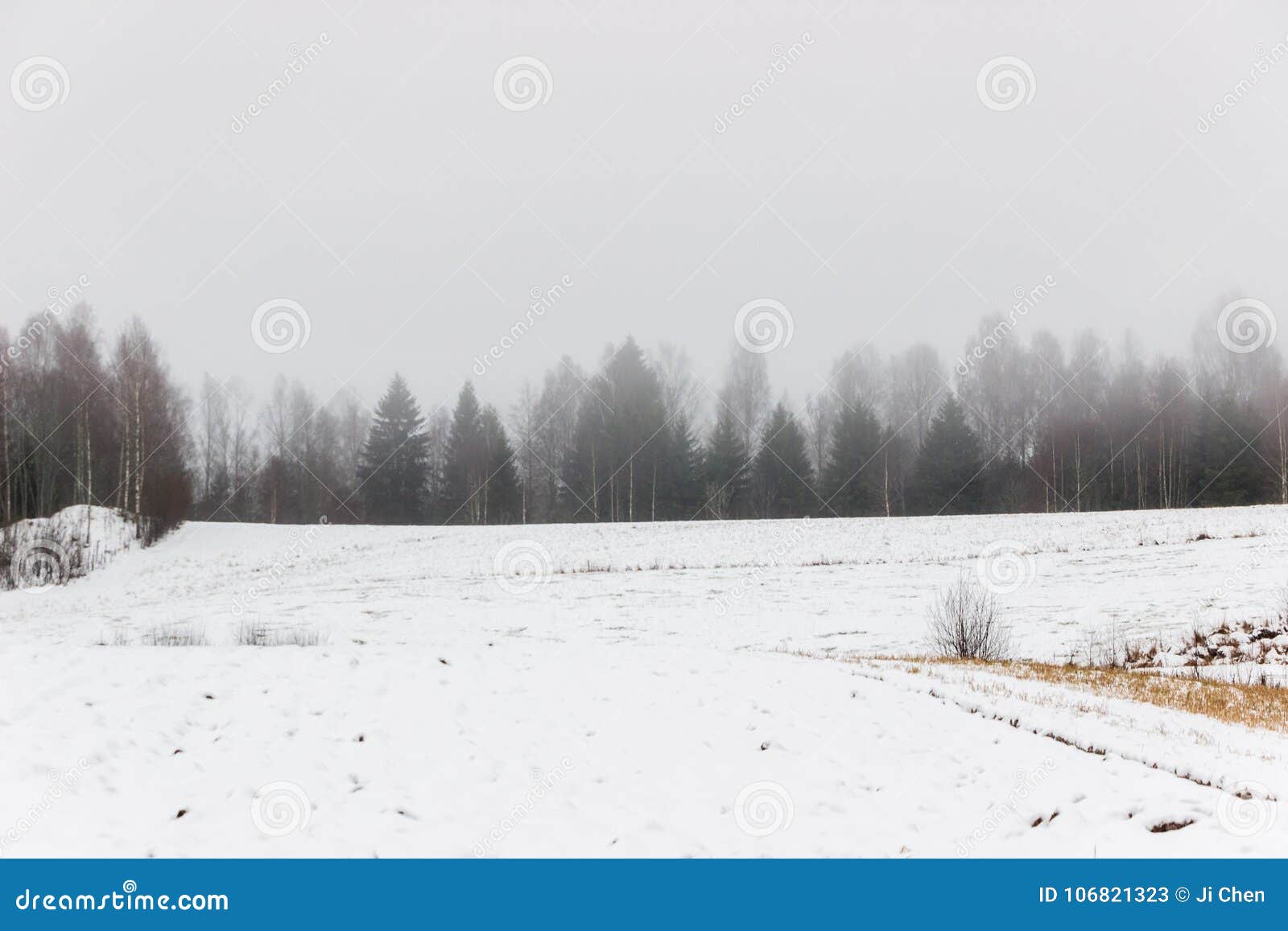 Snow on Field with Trees in Countryside Stock Image - Image of frozen ...