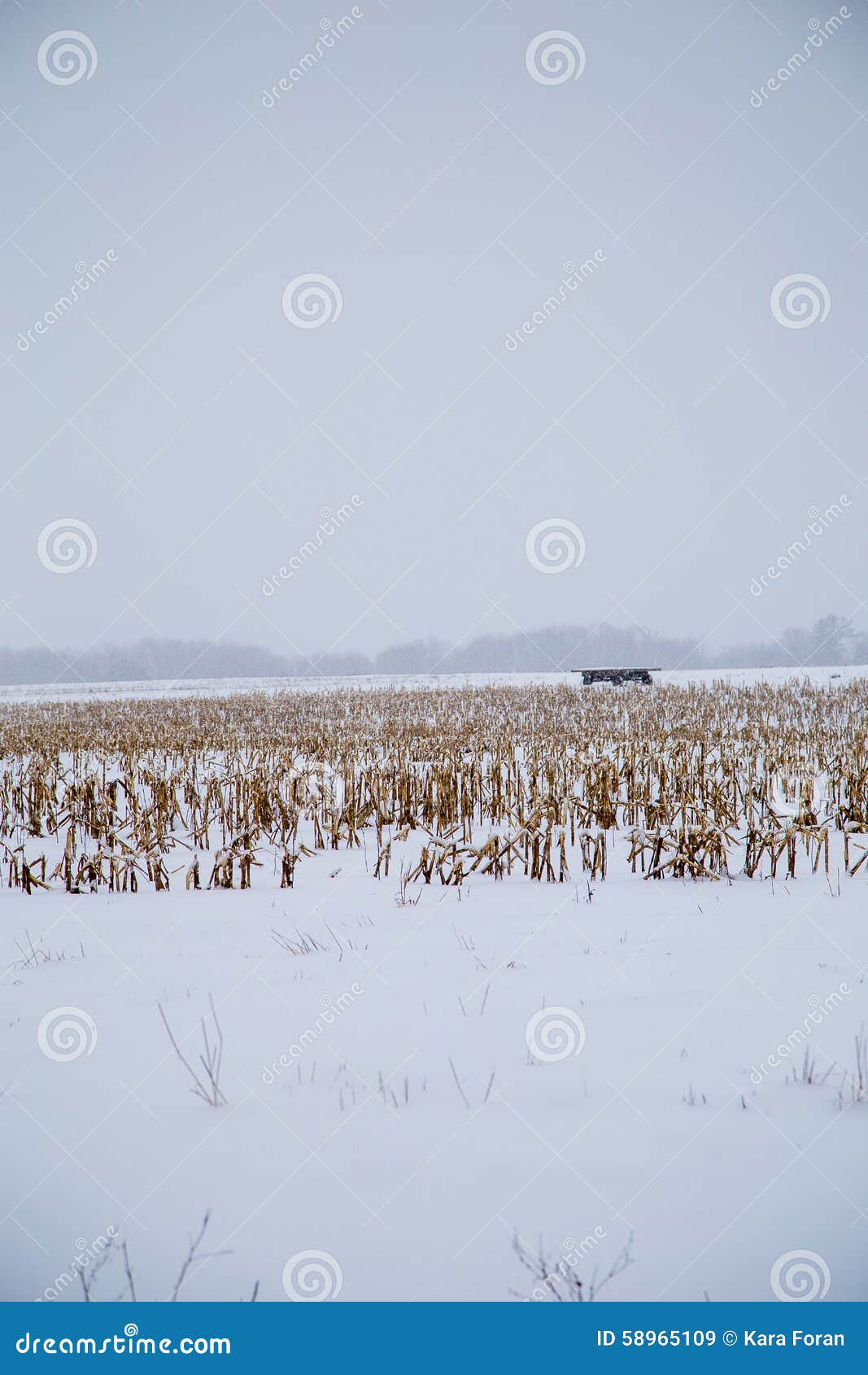 A Snow Fields on a Small Farm Stock Image - Image of covering, small ...